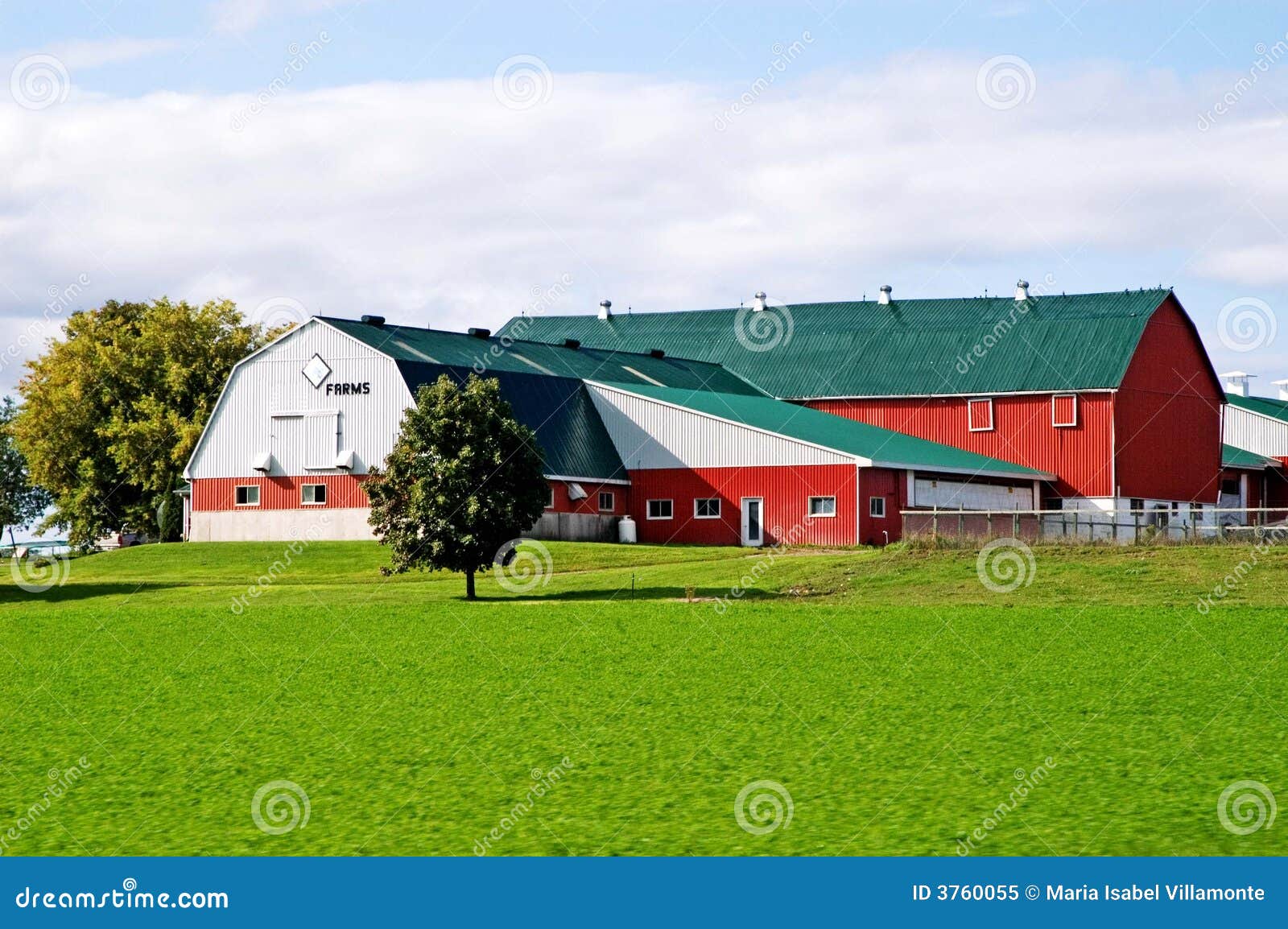 Ferme image stock. Image du nuages, grand, ferme, animal - 3760055