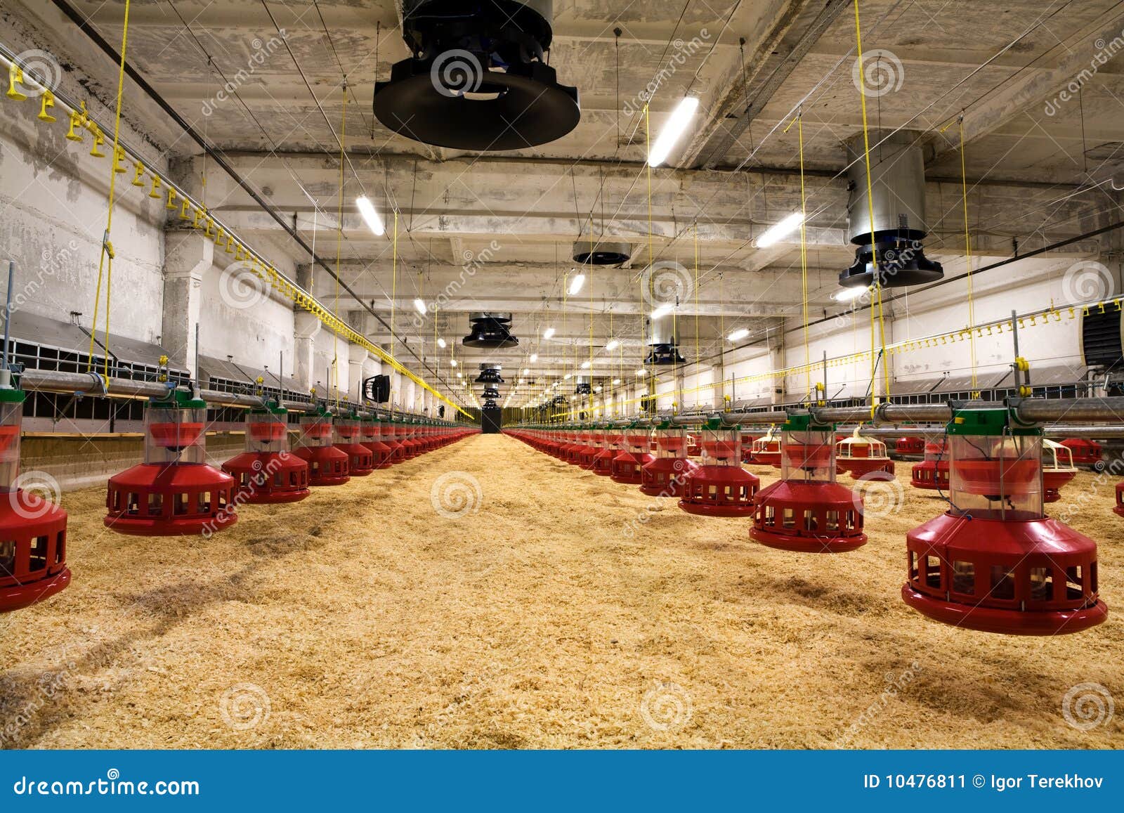 Ferme avicole image stock. Image du ferme, industrie - 10476811