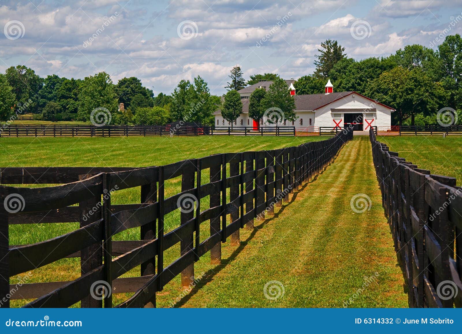 Ferme de cheval photo stock. Image du propriété, moisson - 6314332