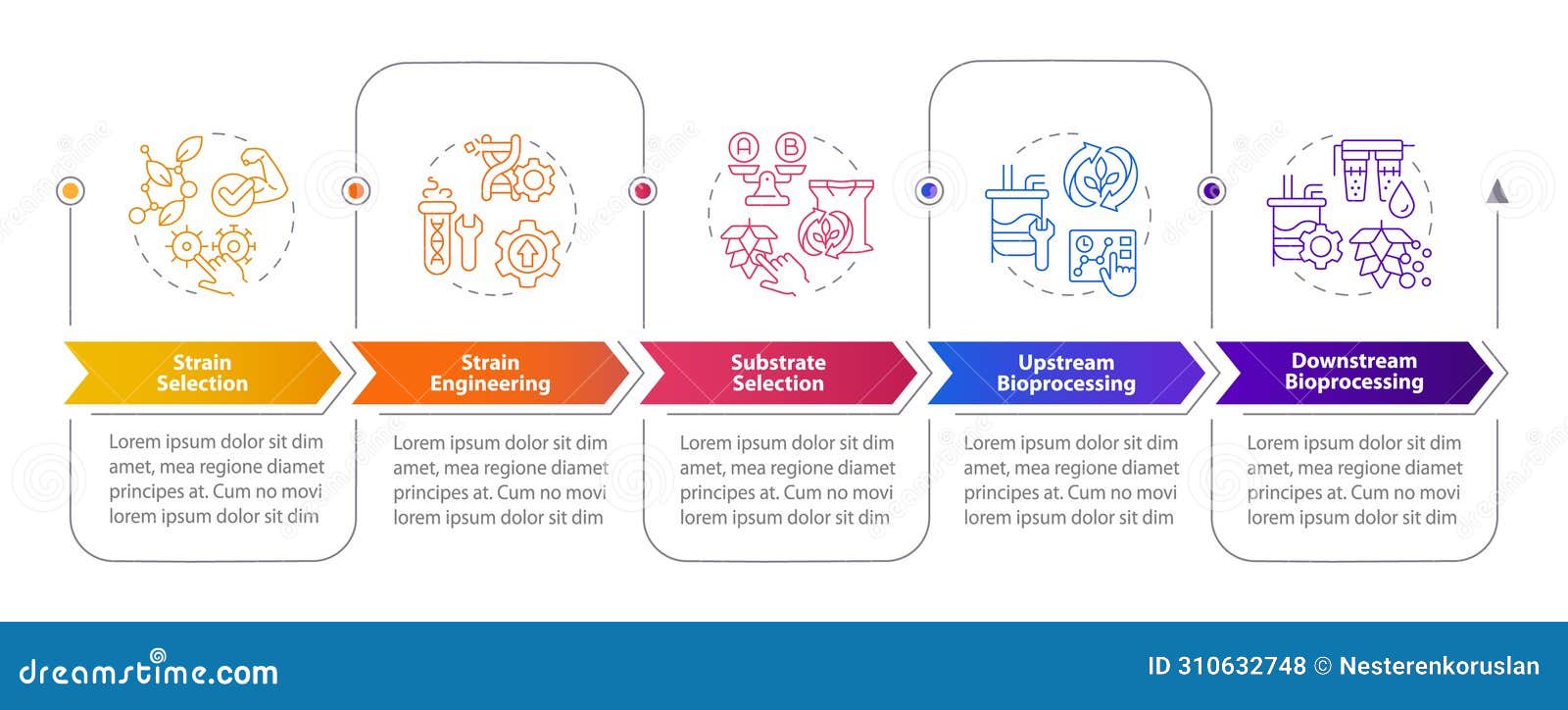 Fermentation Bioprocessing Rectangle Infographic Template Stock ...