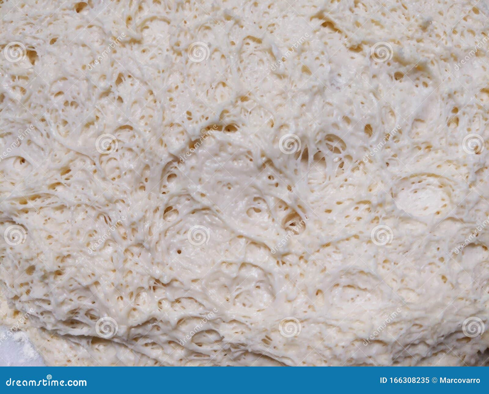 Fermentation on Bread Dough Stock Image - Image of texture, food: 166308235