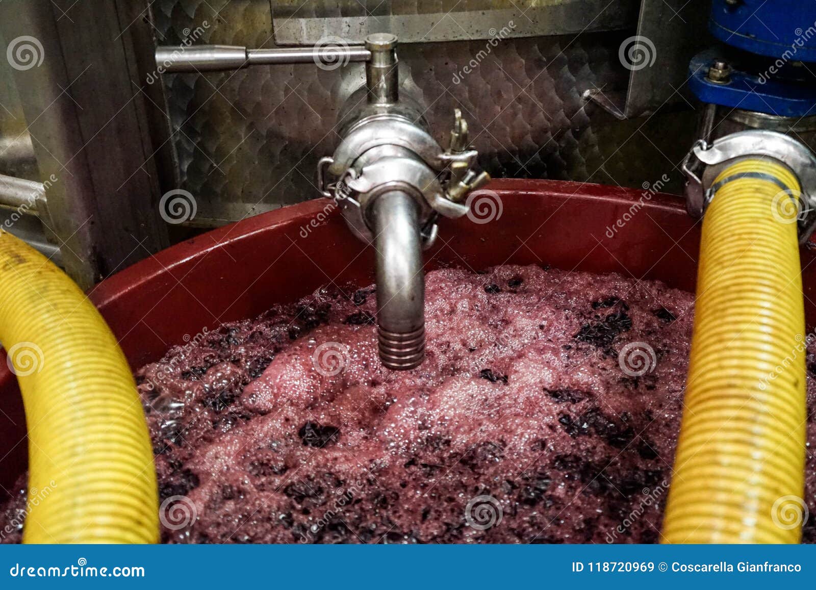 Fermentation De Raisin Dans Une Cave Image stock - Image du vignoble ...