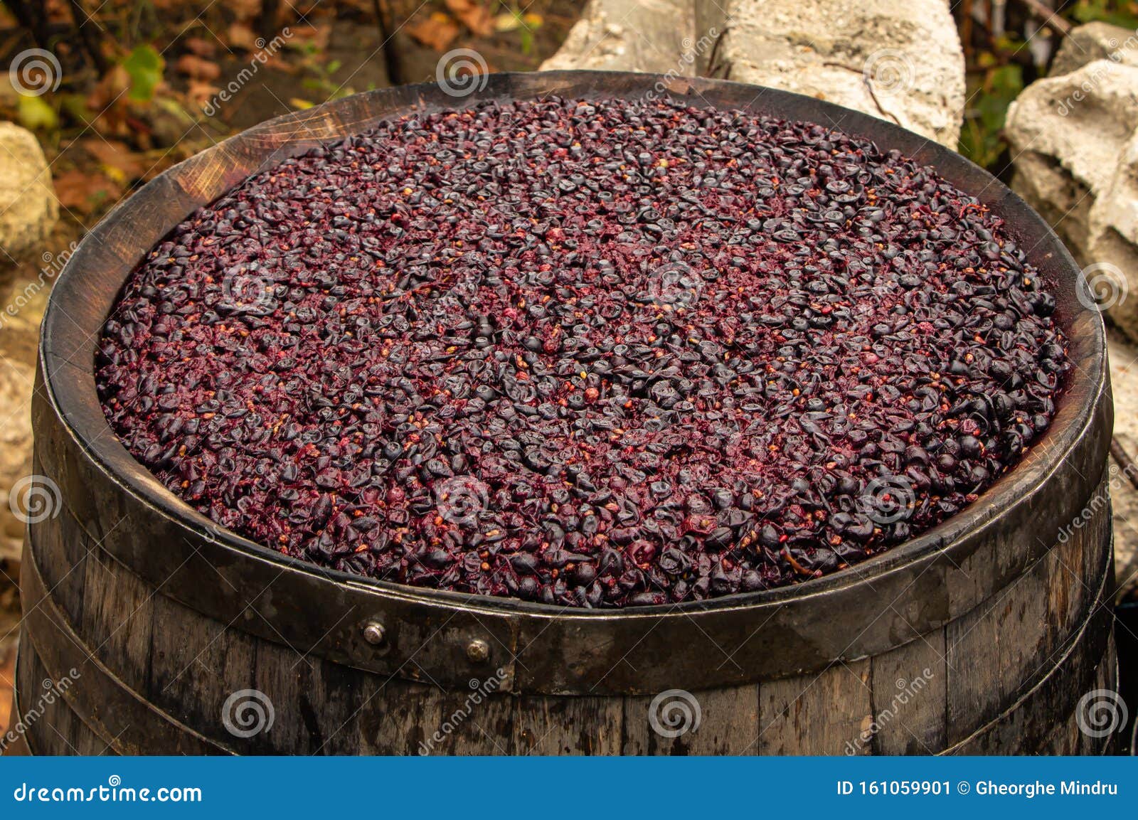 Fermentation Du Vin Rouge En Cours Dans Un Bateau En Bois Image stock ...