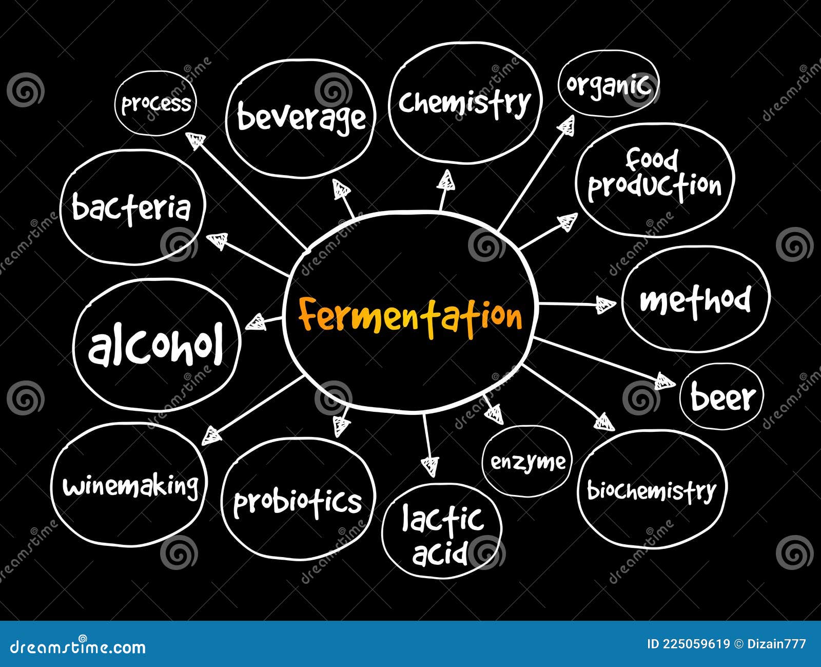Fermentation Mind Map, Concept For Presentations And Reports Royalty ...