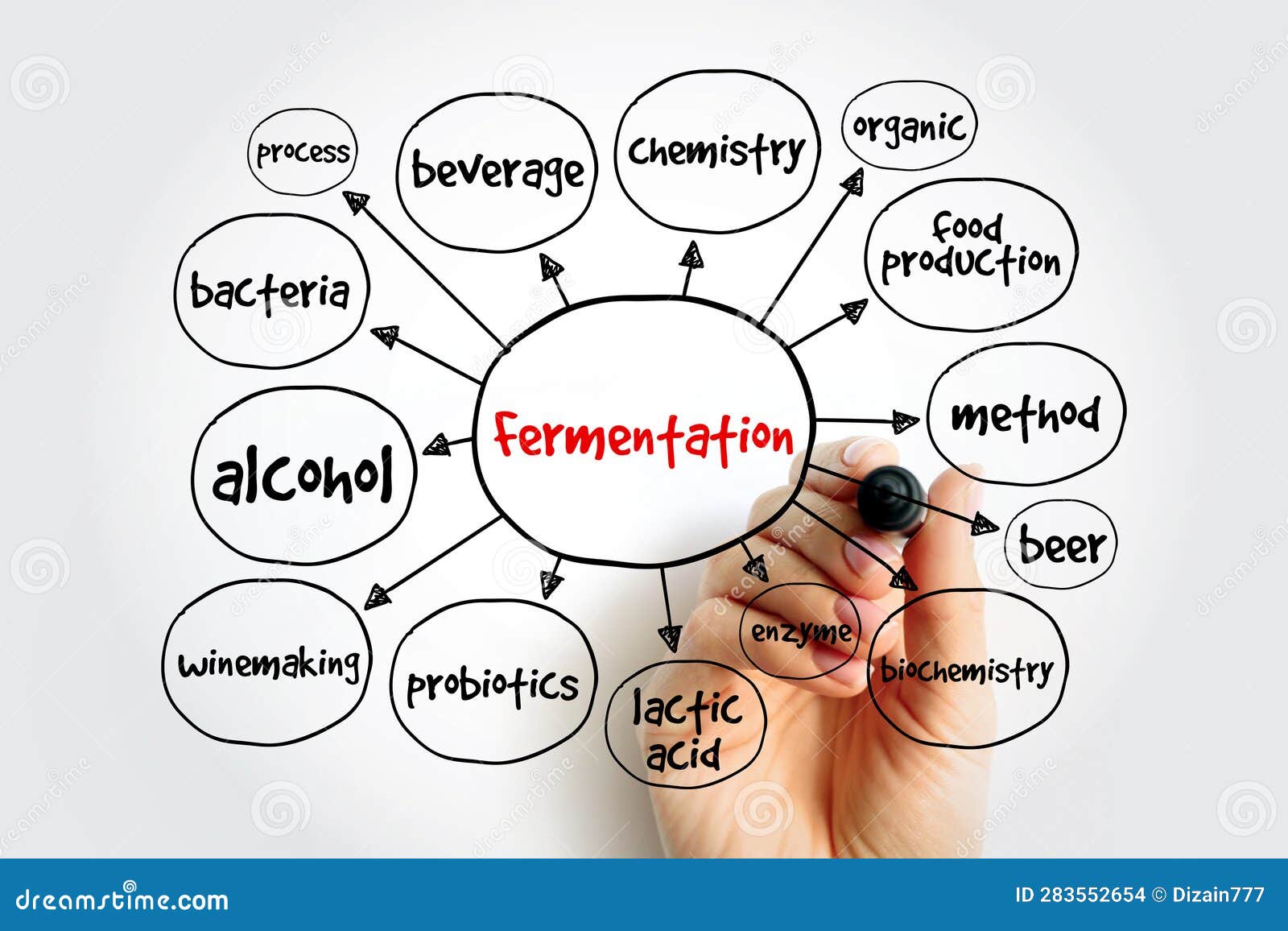 Fermentation Mind Map, Concept for Presentations and Reports Stock ...