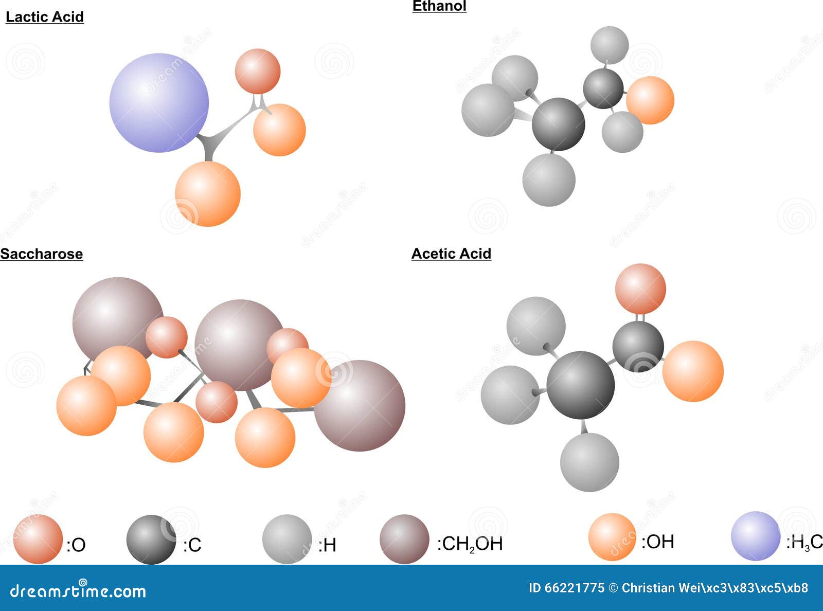 Fermentation Molecules stock illustration. Illustration of lactic ...