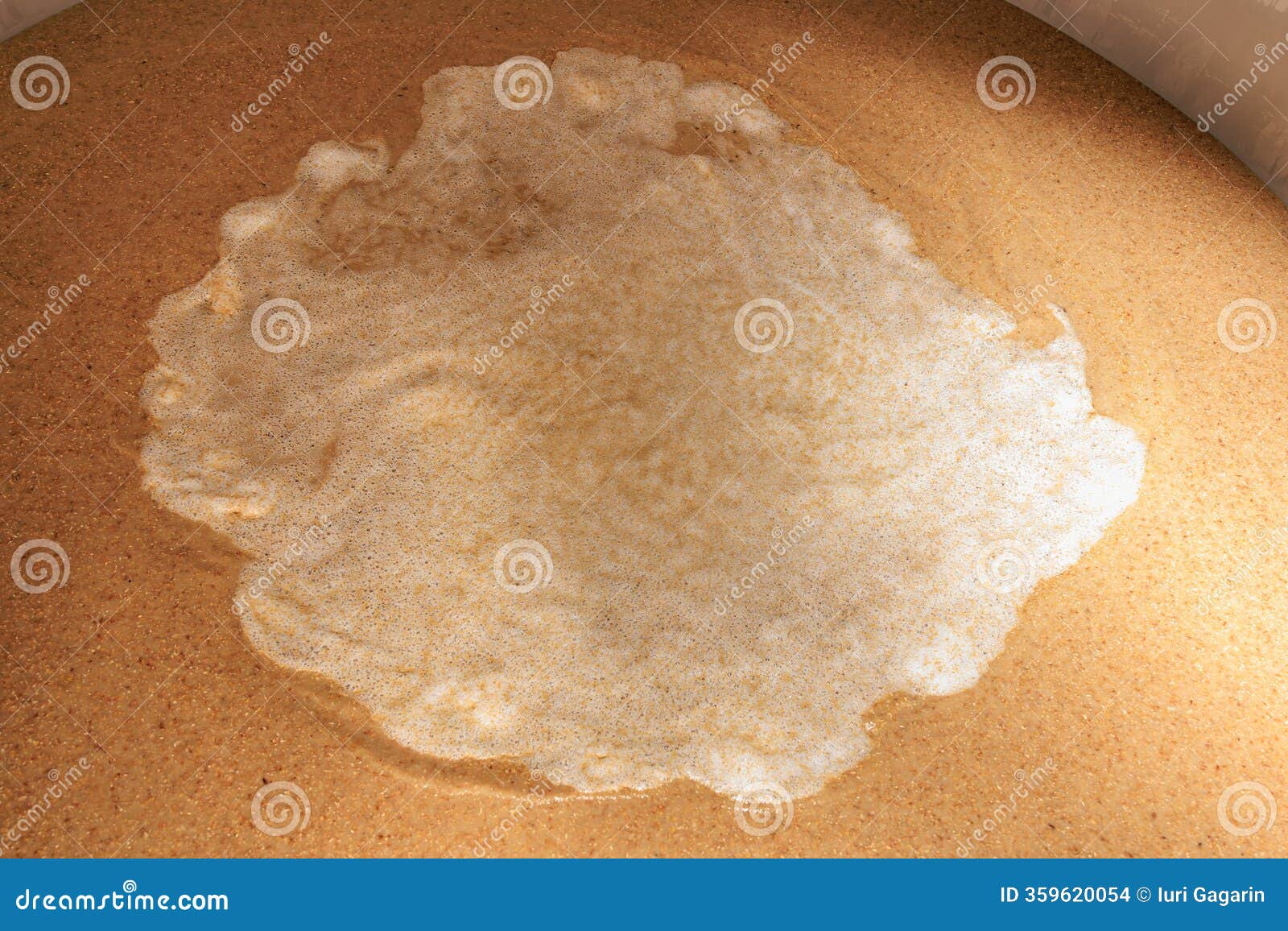 Fermentation Process of Beer in Large Brewery Tank with Yeast and Malt ...