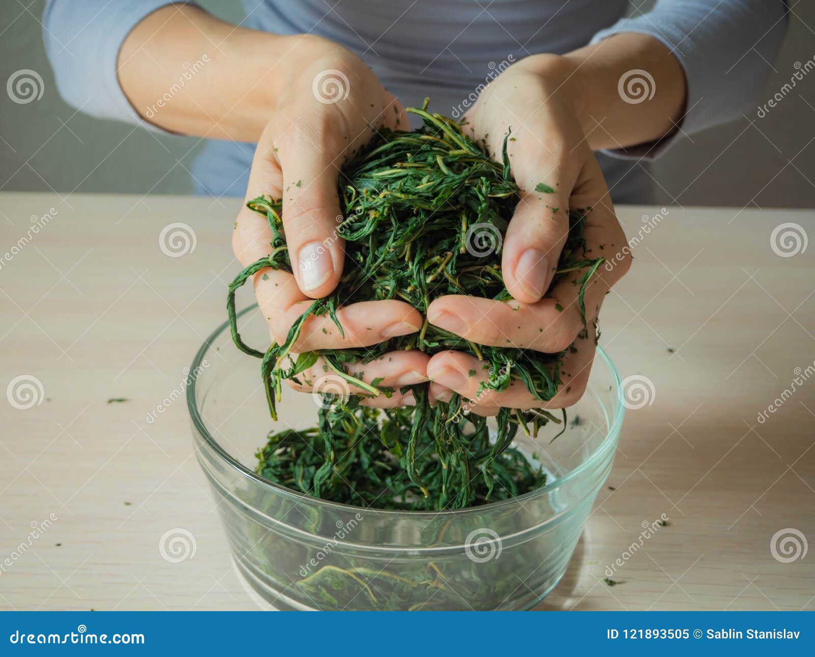 Fermentation Process of Tea Leaves. Manual Production Koporye Tea ...