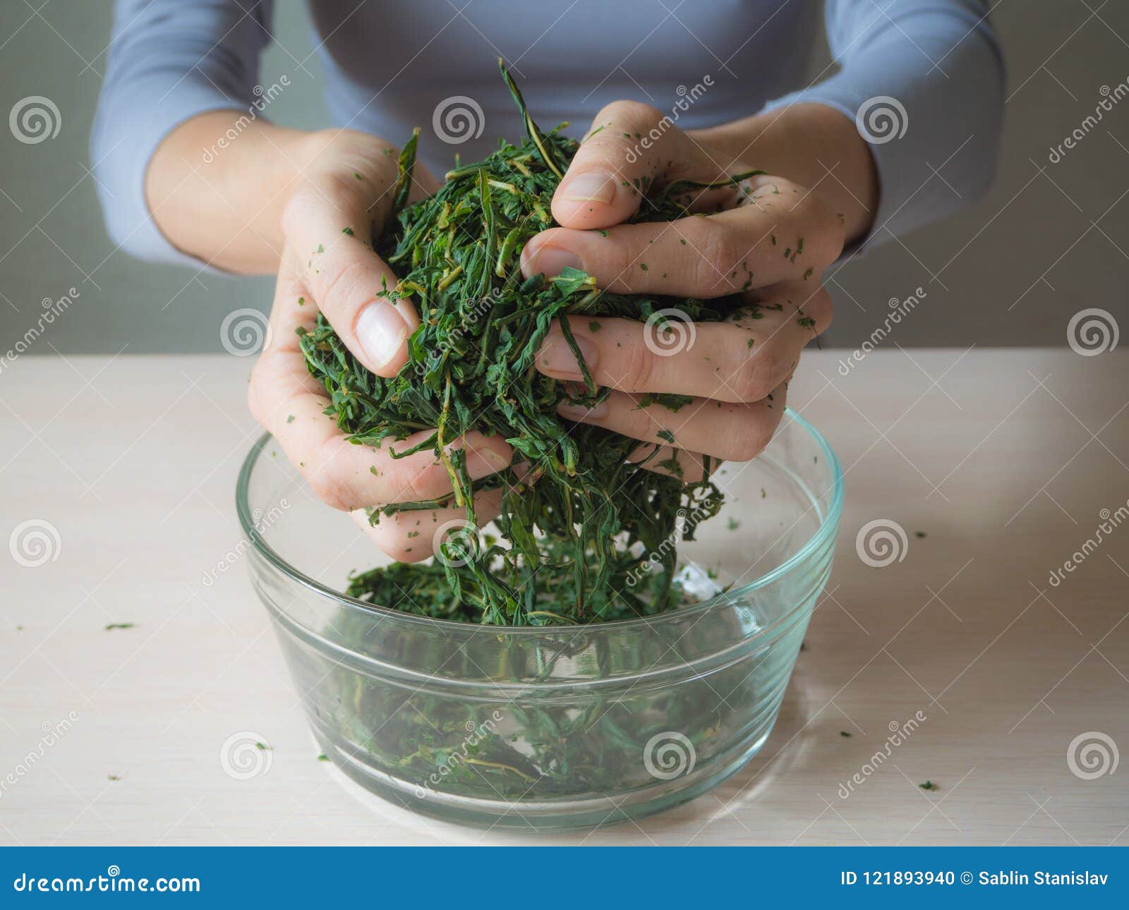 Fermentation Process of Tea Leaves. Manual Production Koporye Tea ...
