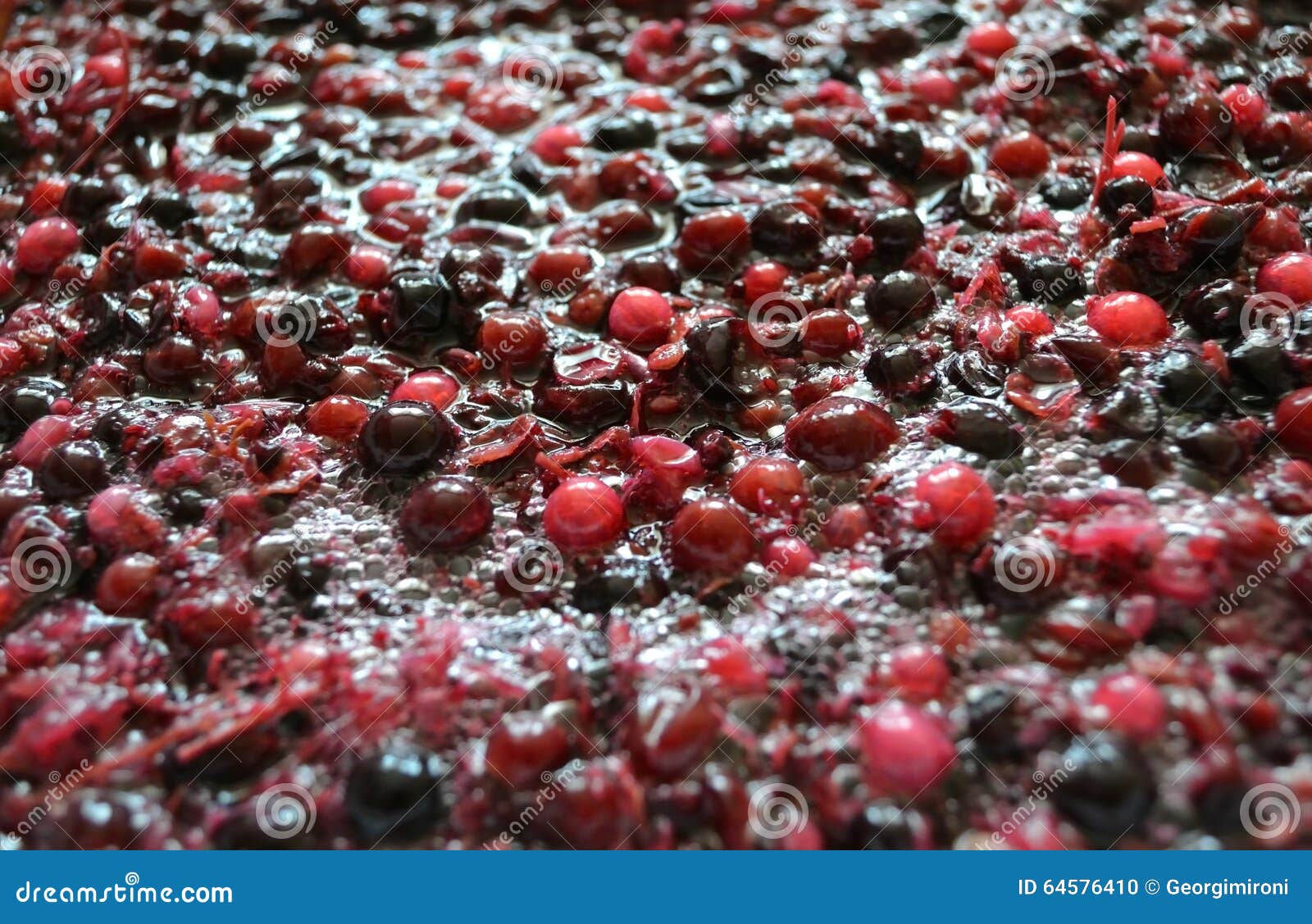 Fermentation of the Pulp from Berries for Wine Stock Photo - Image of ...