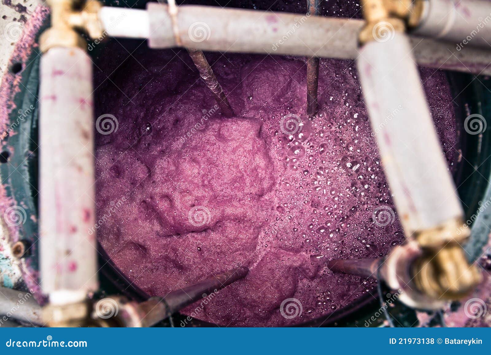 Fermentation of red wine stock photo. Image of industry - 21973138