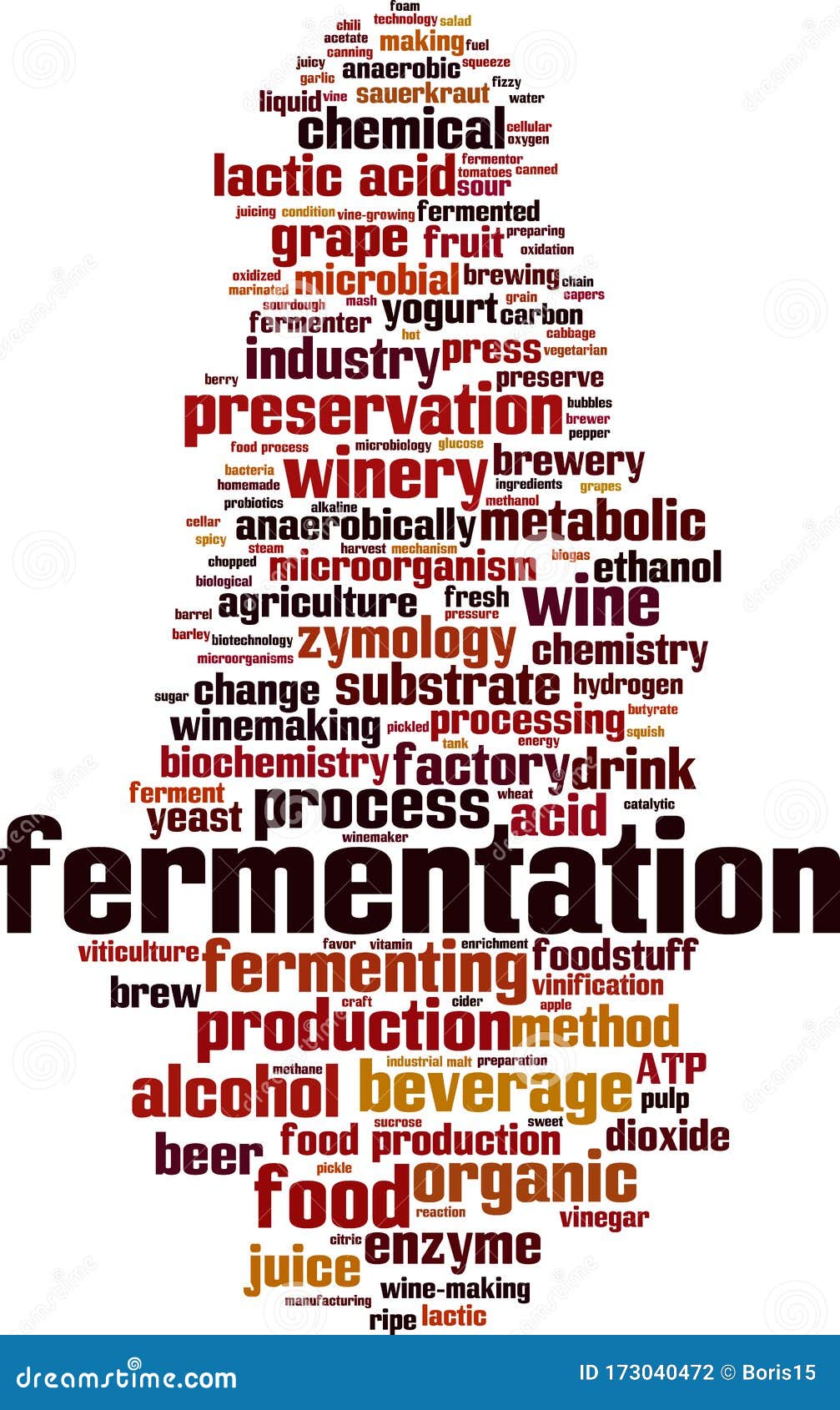 Fermentation Word Cloud Vector Illustration | CartoonDealer.com #173040472