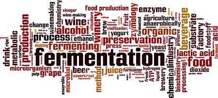 Fermentation word cloud stock vector. Illustration of microbial - 189340557