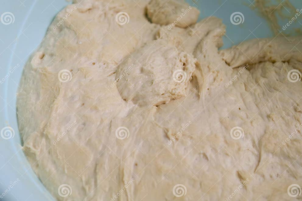 Fermented Wheat Flour Dough, Raw Fermented Dough, Fermented and ...