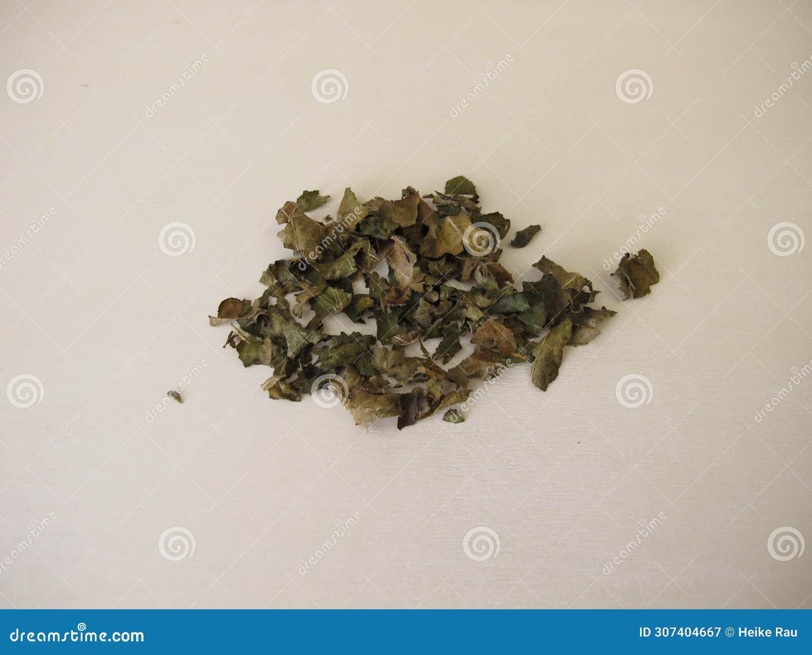 Fermented White Mulberry Leaves for Black Mulberry Leaf Tea Stock Image ...