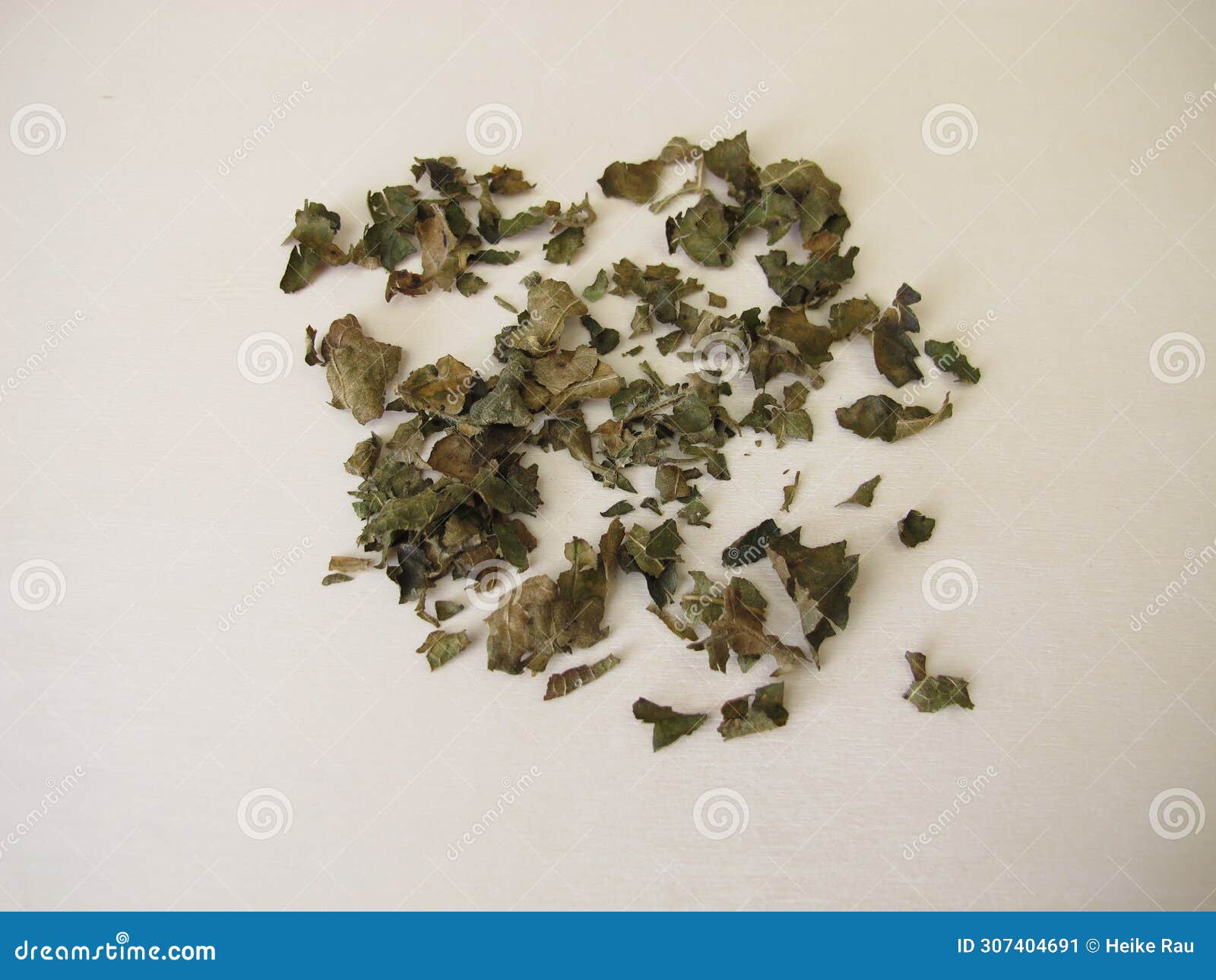 Fermented White Mulberry Leaves for Black Mulberry Leaf Tea Stock Image ...