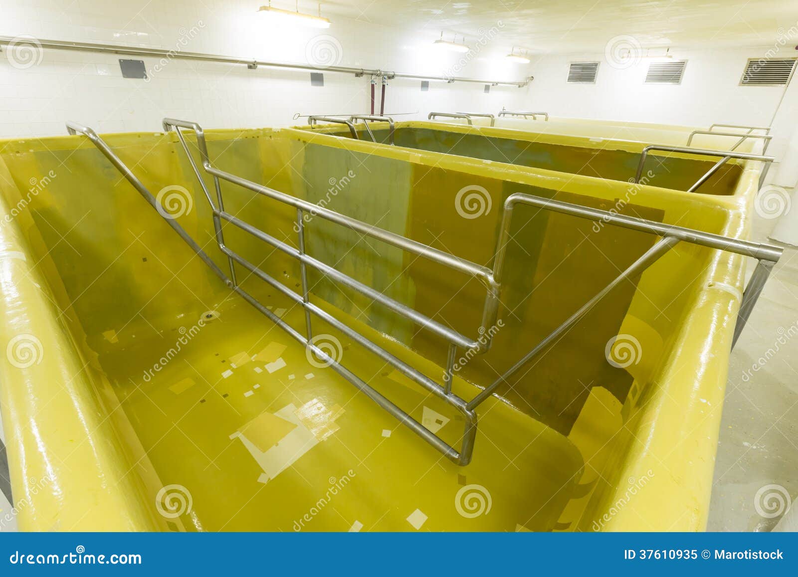 Fermenting pool stock image. Image of inside, modern - 37610935