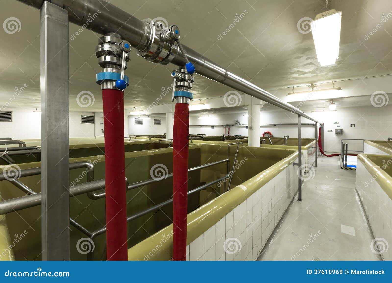 Fermenting pool stock photo. Image of line, brewery, cooking - 37610968