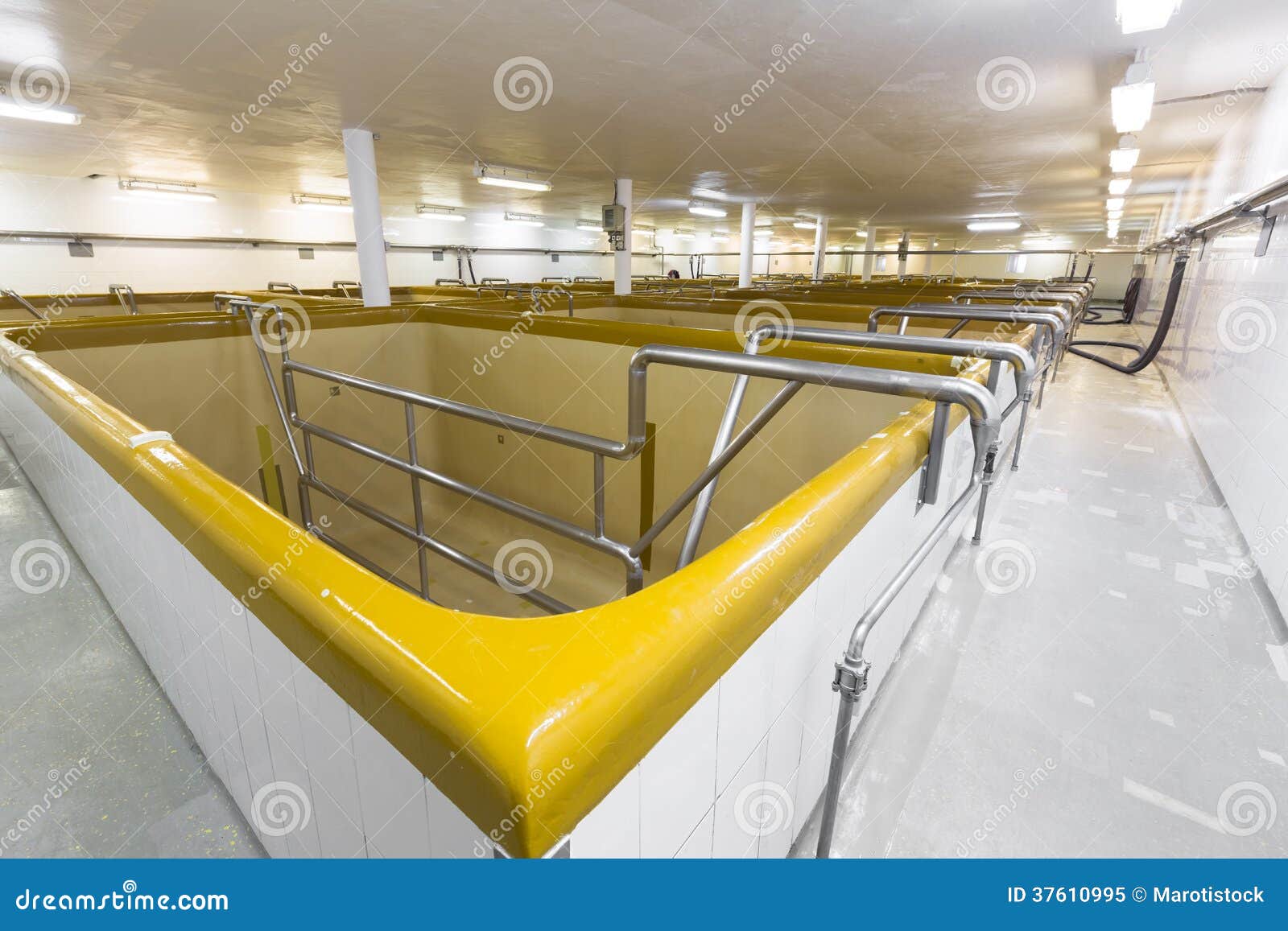Fermenting pool stock image. Image of storage, larger - 37610995
