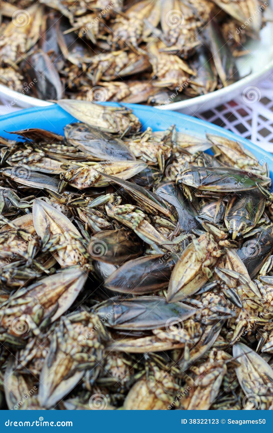 Fermez-vous De L'insecte Frit Image stock - Image du achat, marché ...