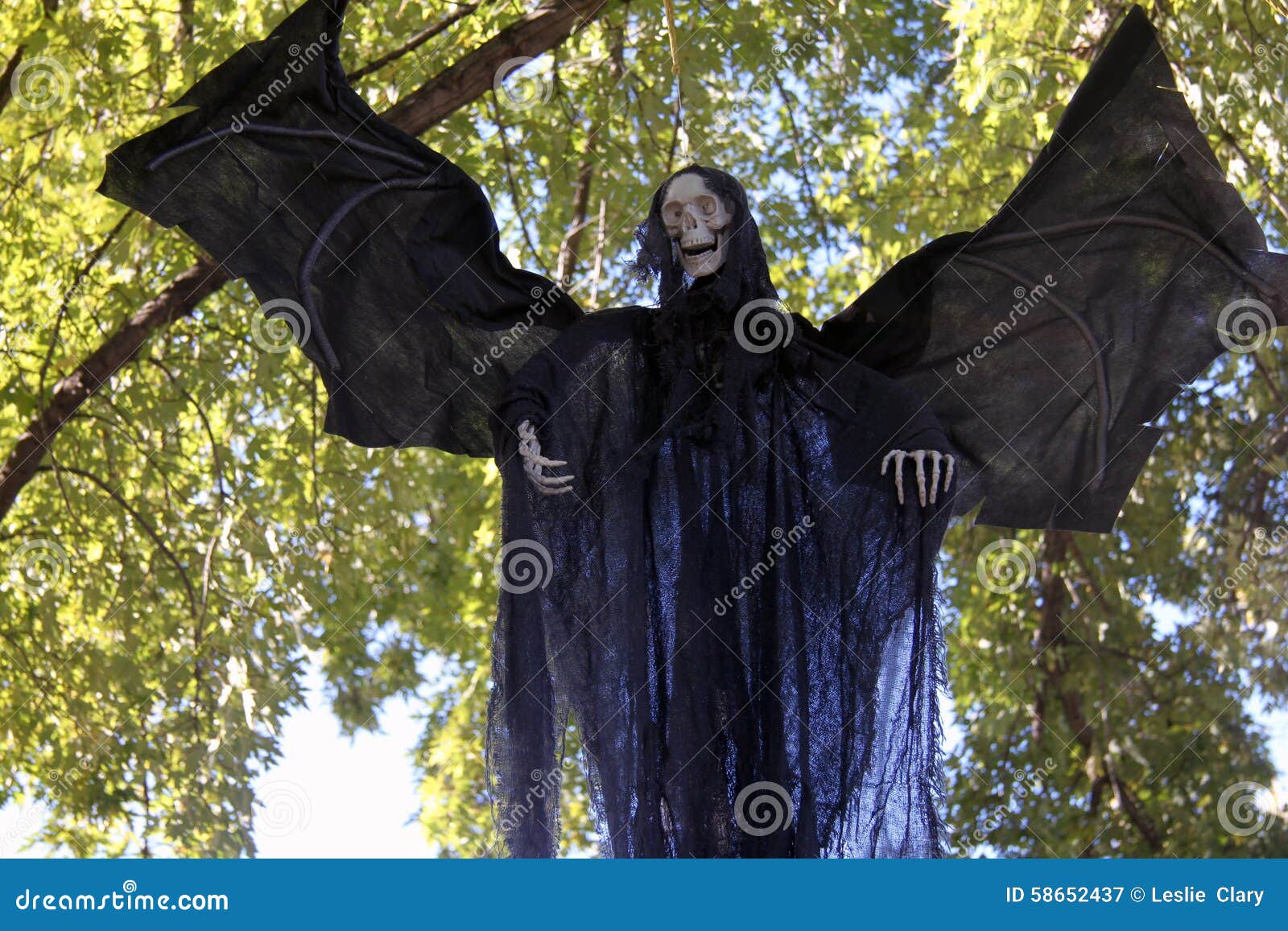 Fermez-vous De La Batte Avec Le Visage Squelettique Image stock - Image ...