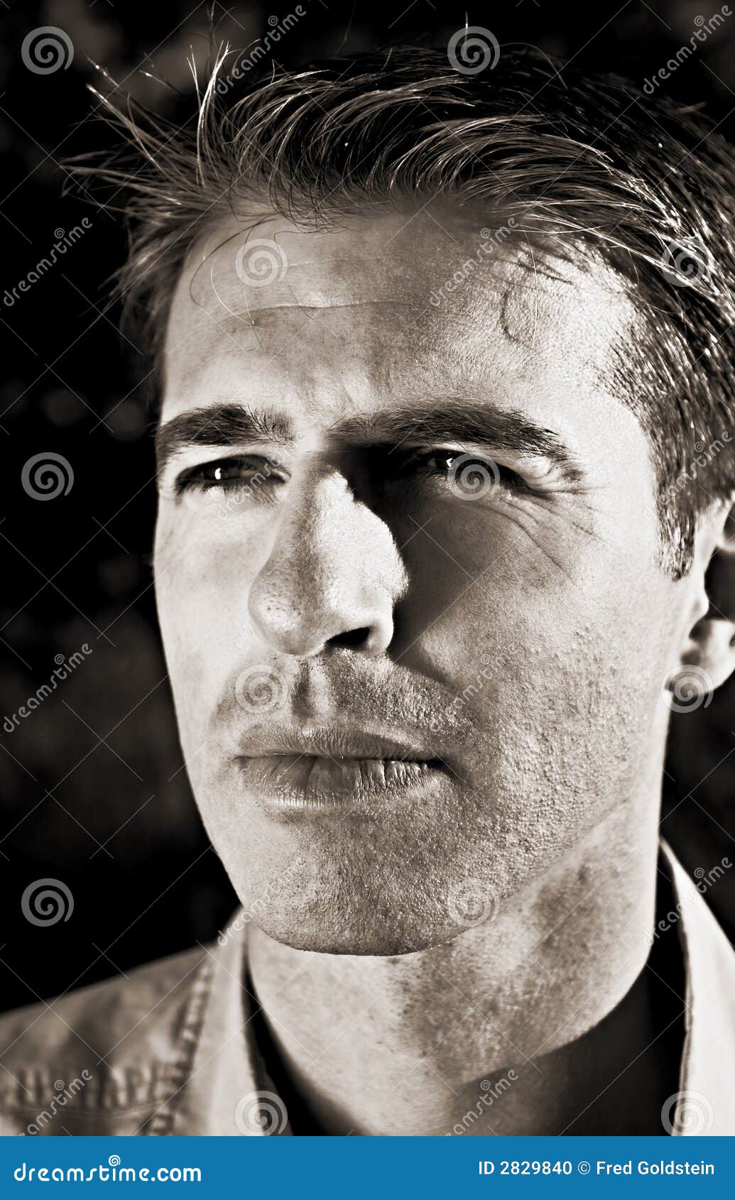 Fermez-vous Vers Le Haut De La Verticale Photo stock - Image du ...