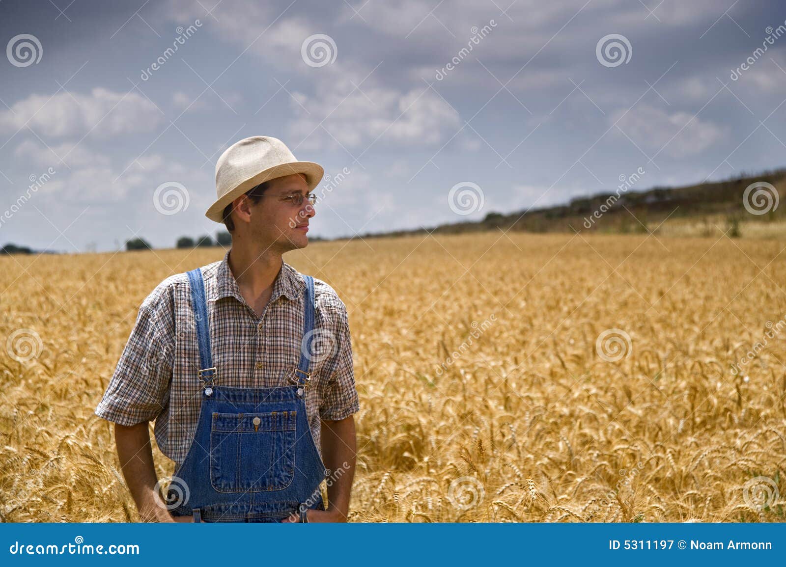 Fermier Dans Un Domaine De Blé Image stock - Image du agricole, cordon ...