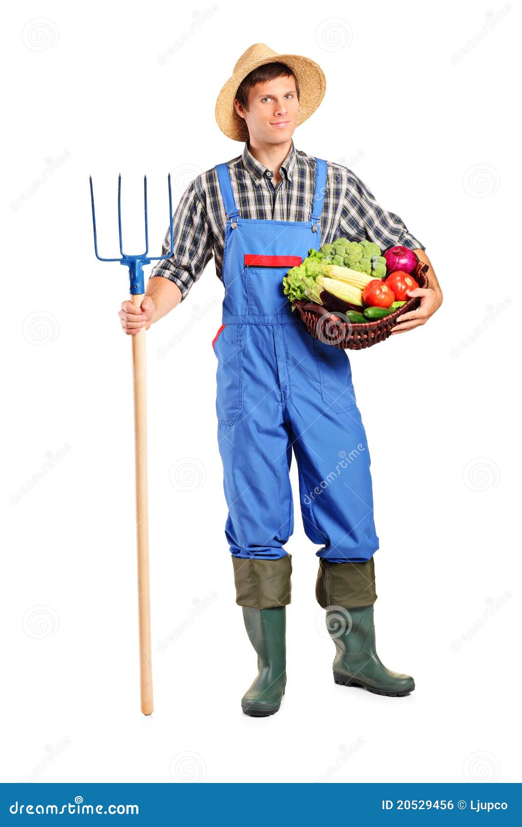 Fermier Retenant Une Fourche Et Une Position Photo stock - Image du ...