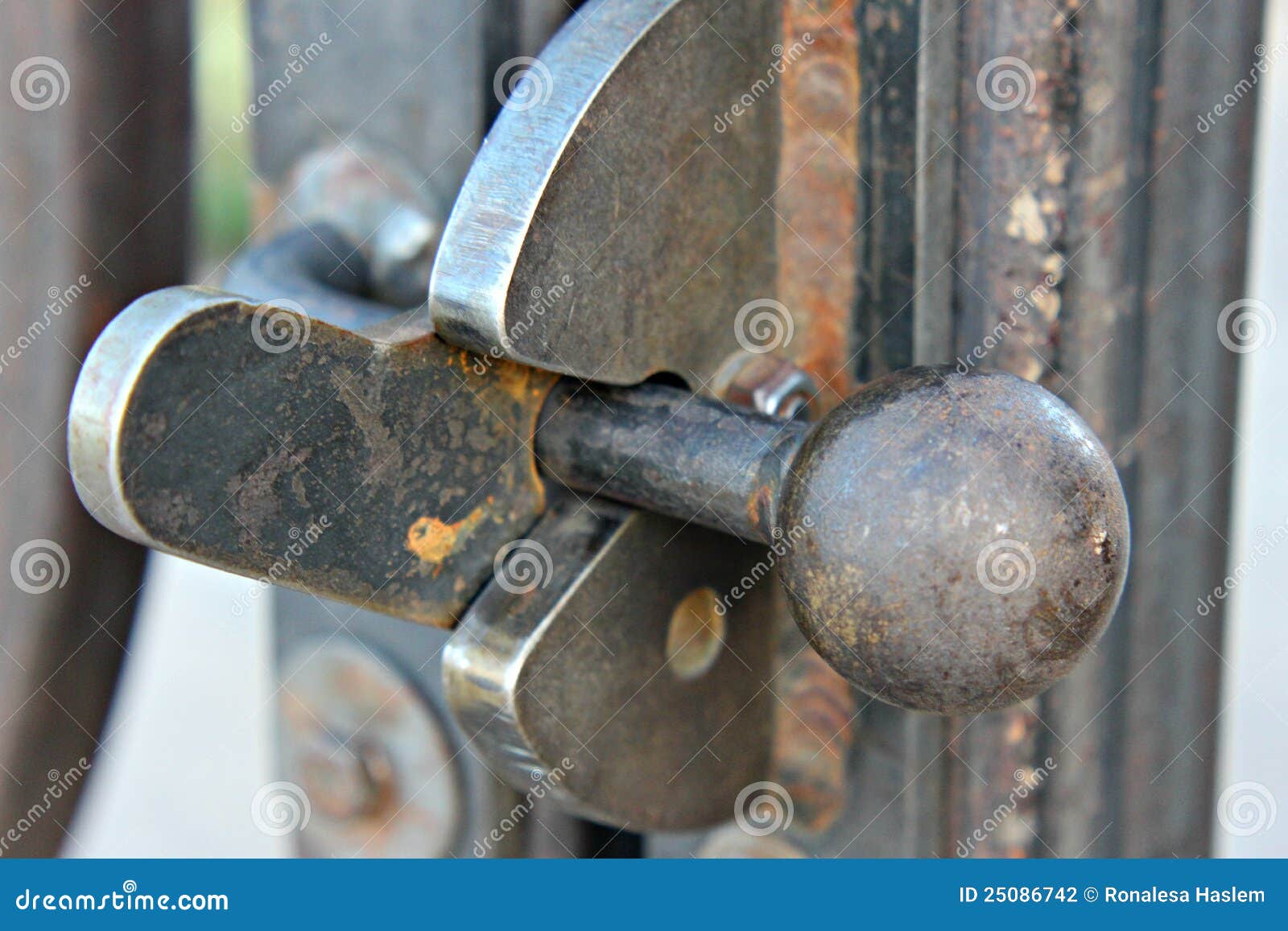 Fermo Del Cancello Del Ferro Fotografia Stock - Immagine di fermo ...