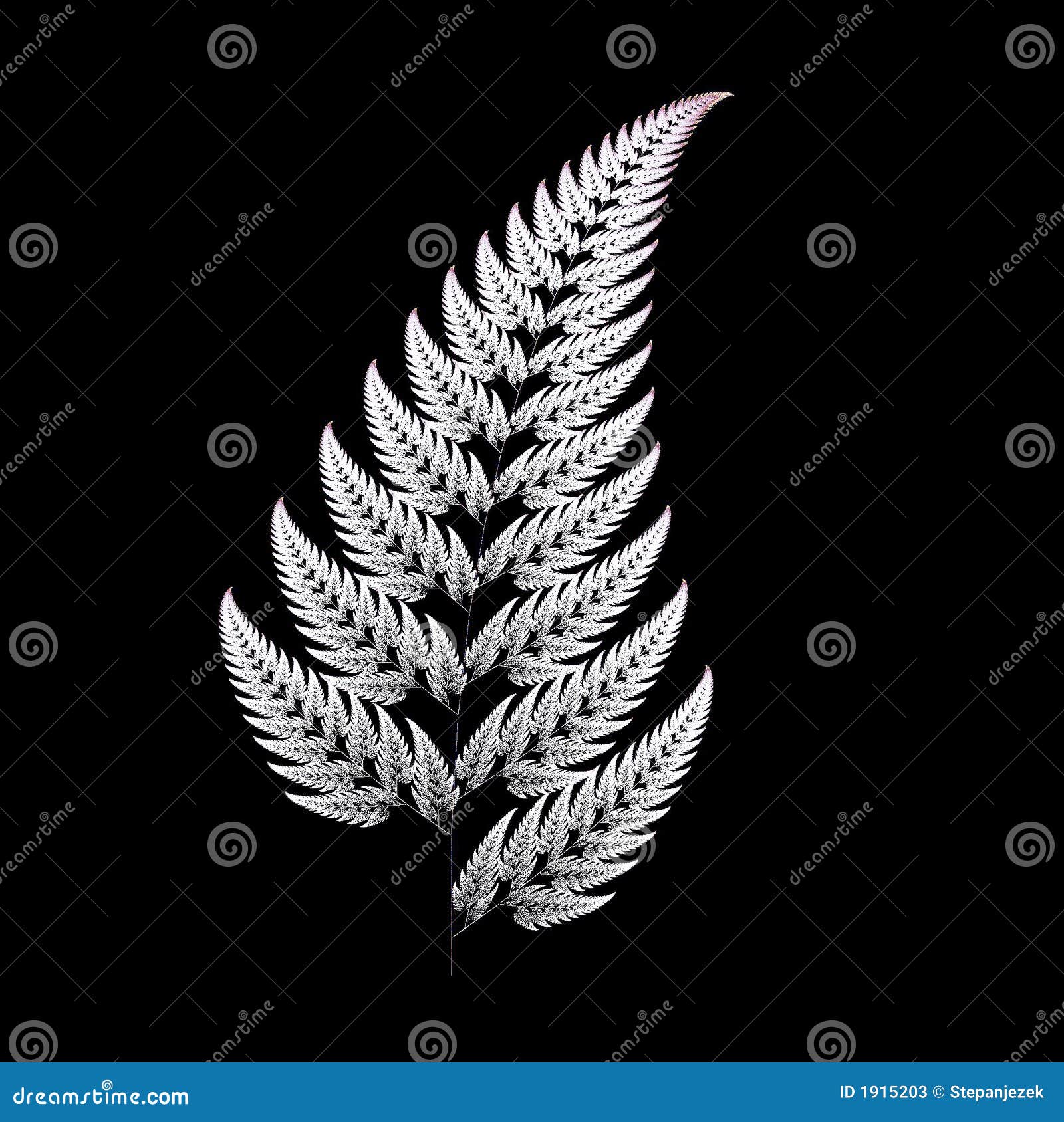 Fern stock illustration. Illustration of fern, design - 1915203
