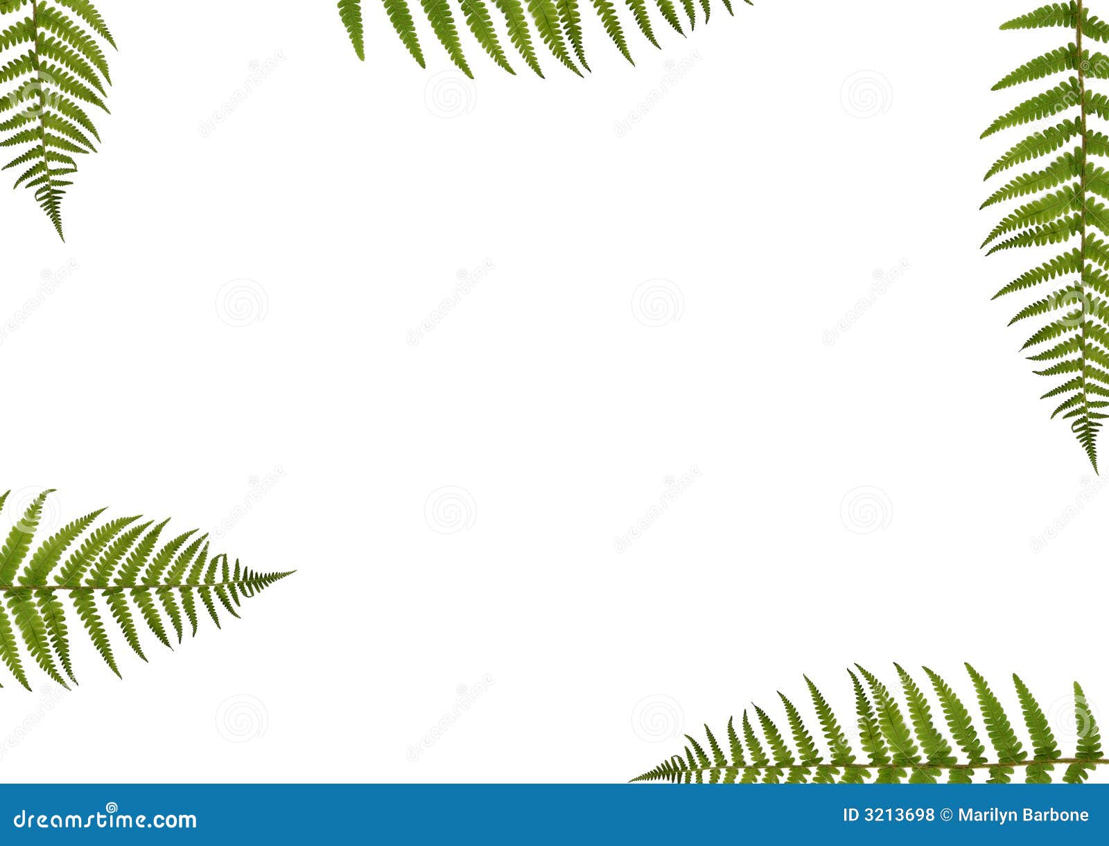 Fern Border Abstract Stock Illustrations – 1,711 Fern Border Abstract ...