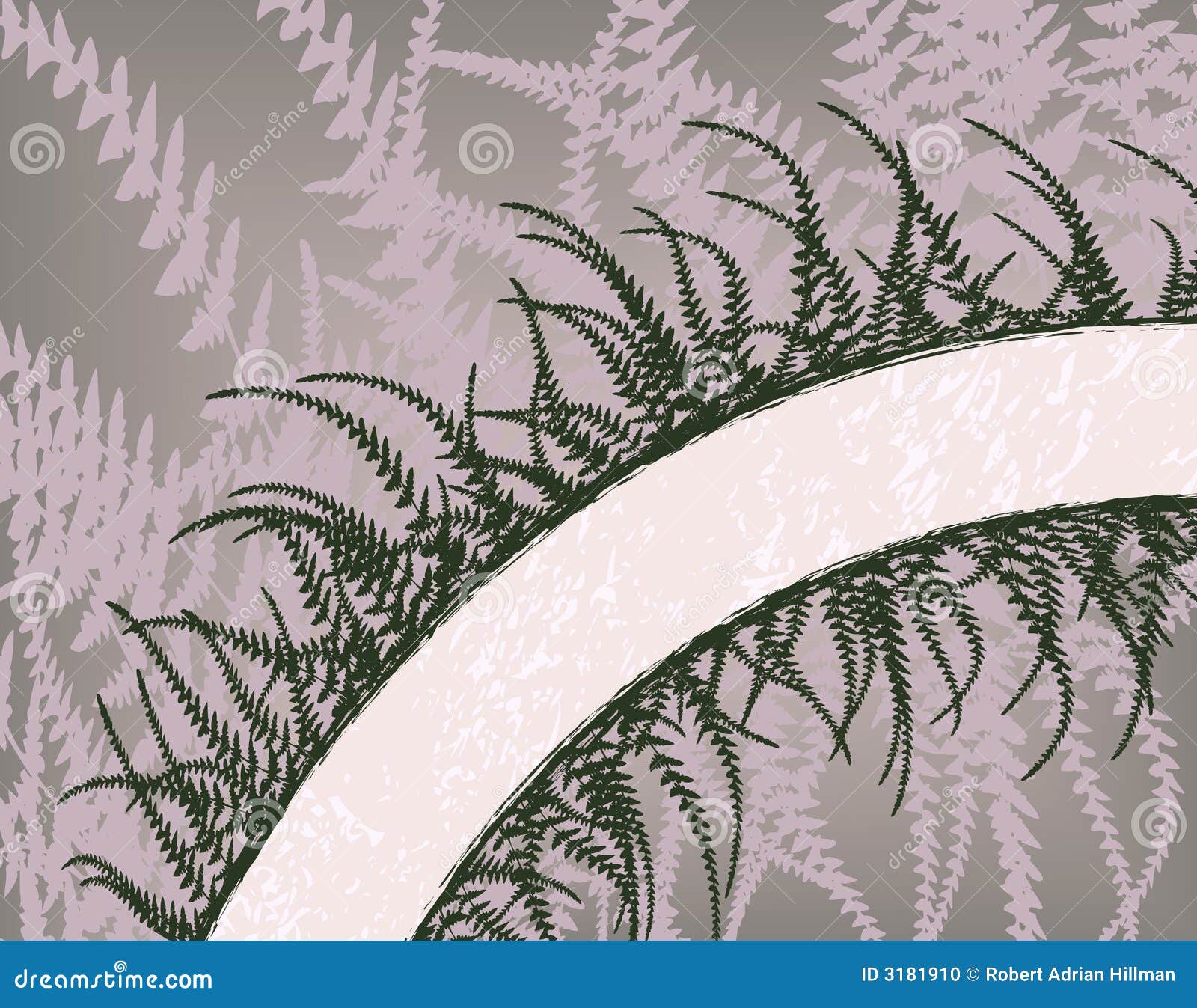 Fern arc stock vector. Illustration of space, copy, edge - 3181910