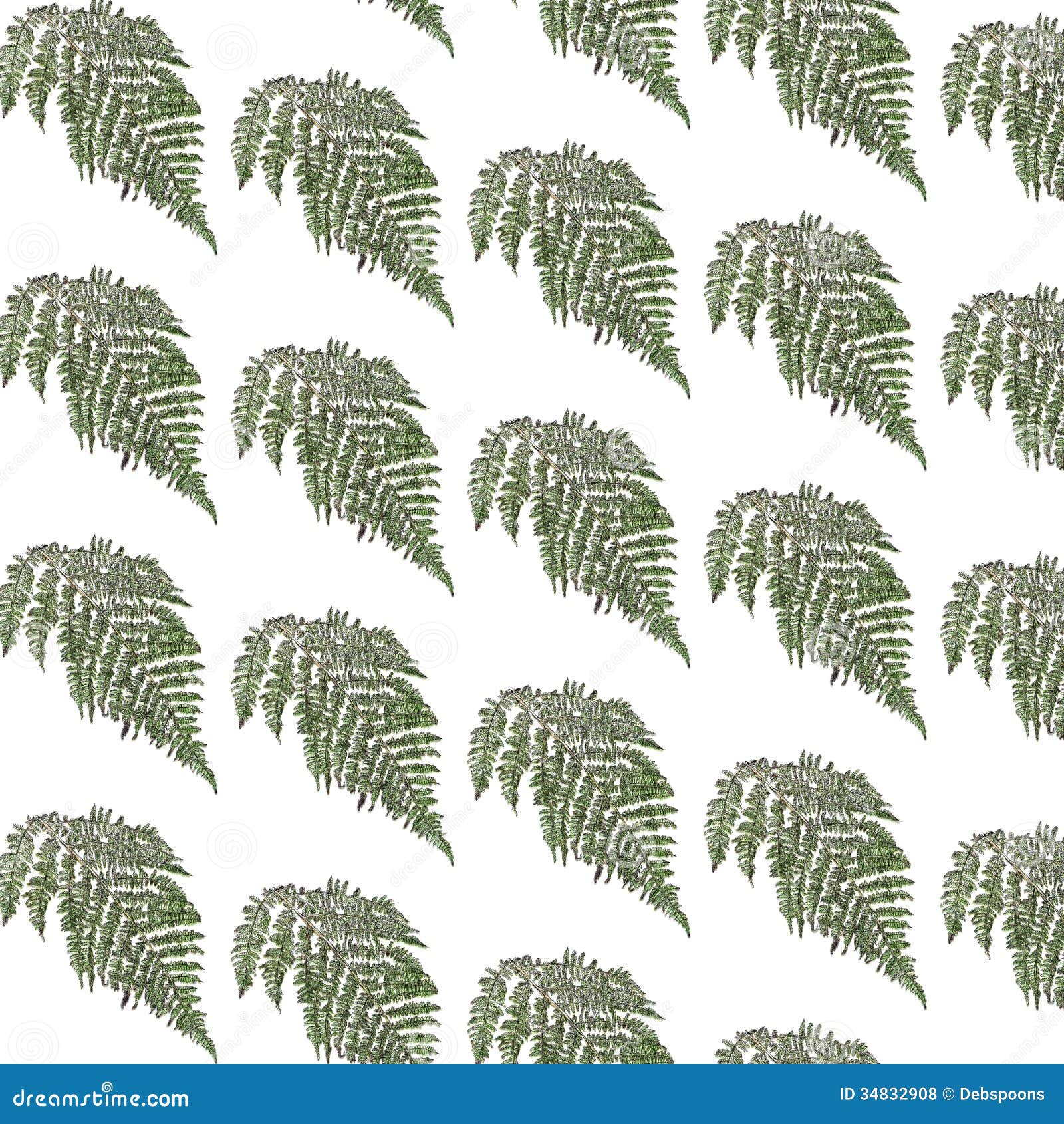 Fern background stock illustration. Illustration of plant - 34832908