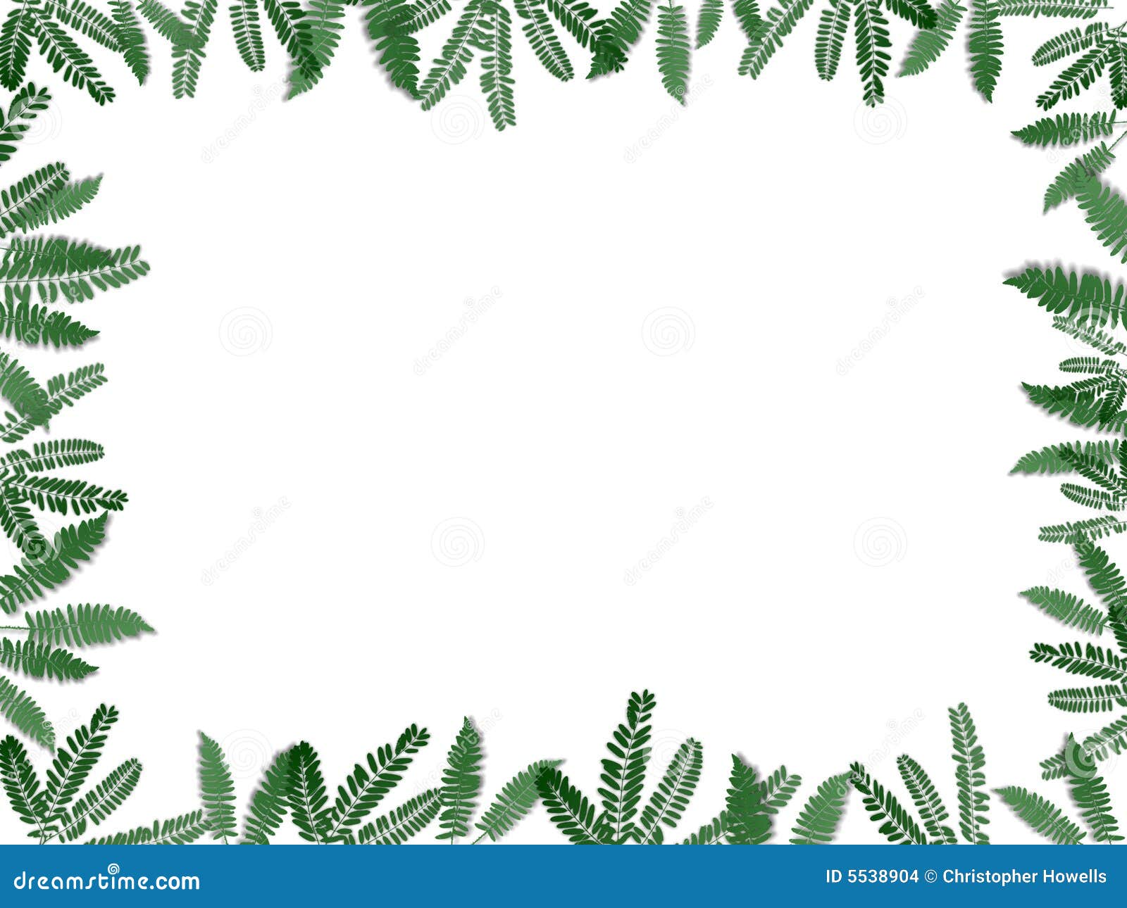 Fern Border Stock Images - Image: 5538904