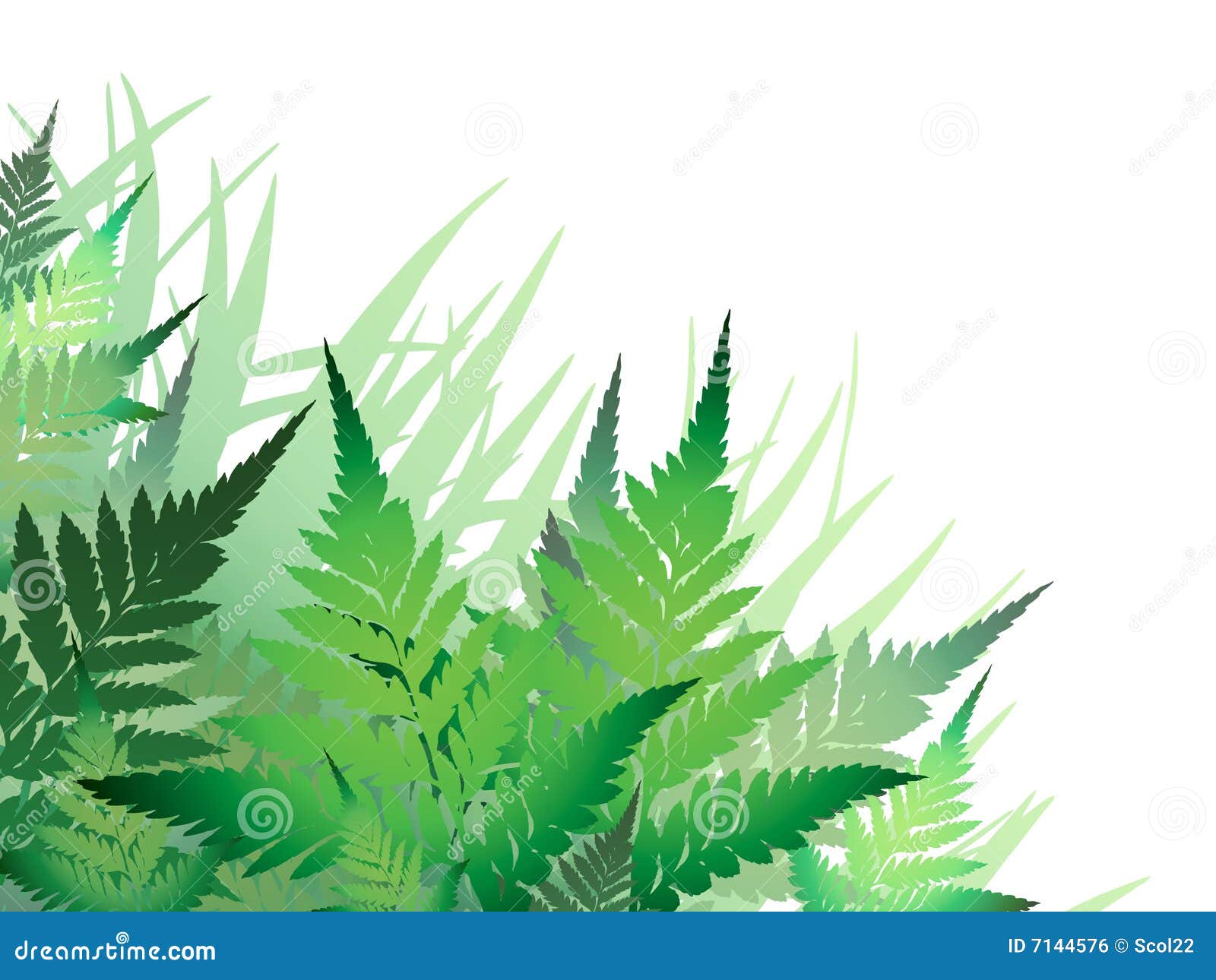 Fern Border stock illustration. Illustration of frond - 7144576