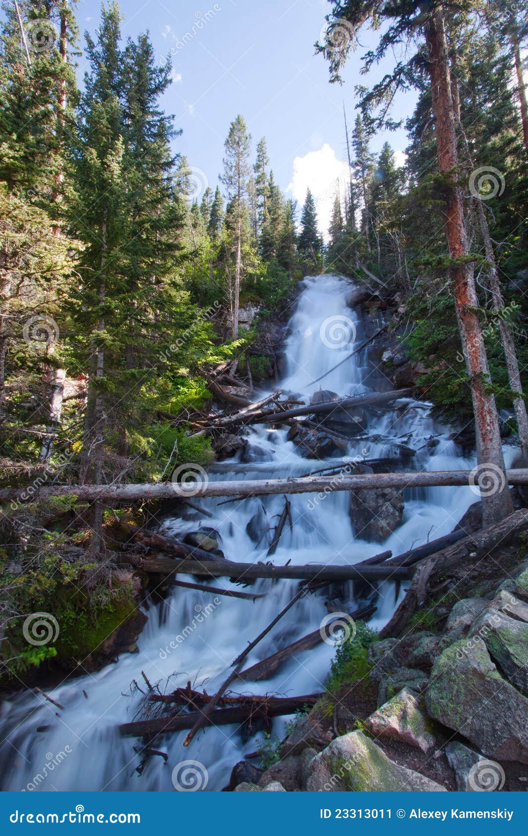 Fern Falls in Rocky Mountains Stock Image - Image of hiking, national ...