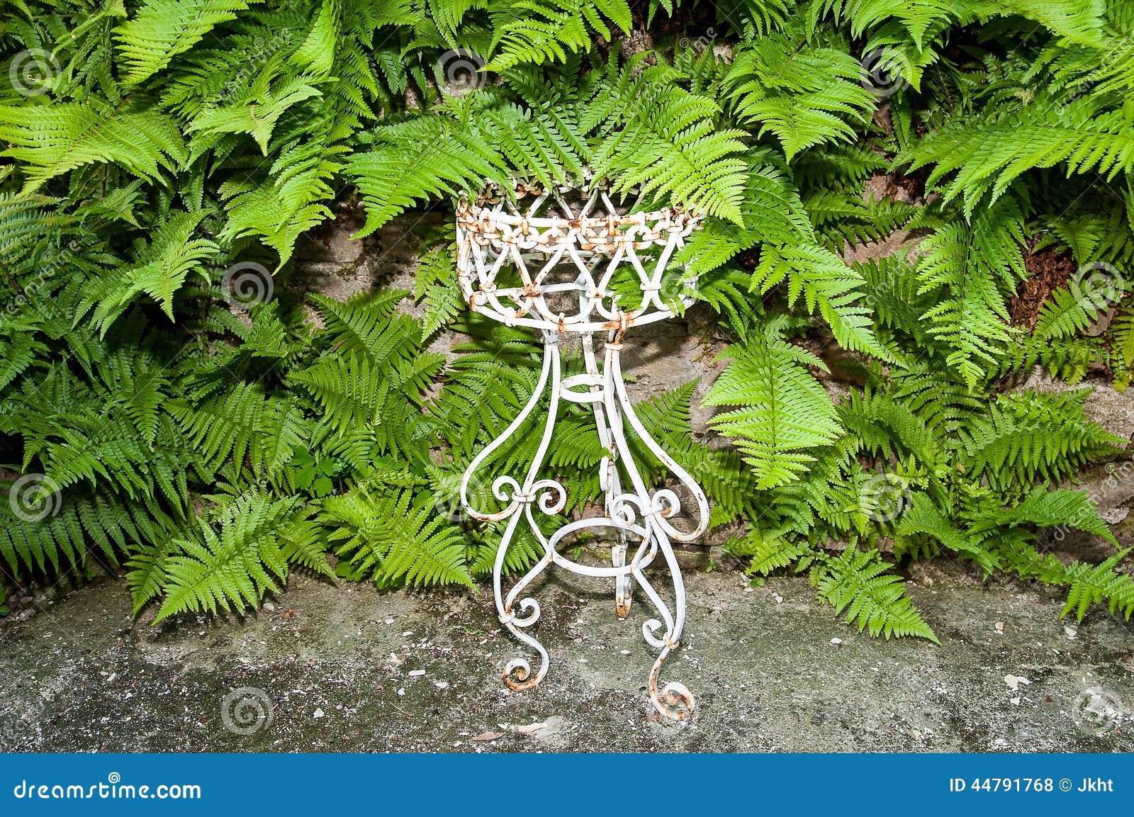 Fern and flower stand stock photo. Image of plant, leaves - 44791768