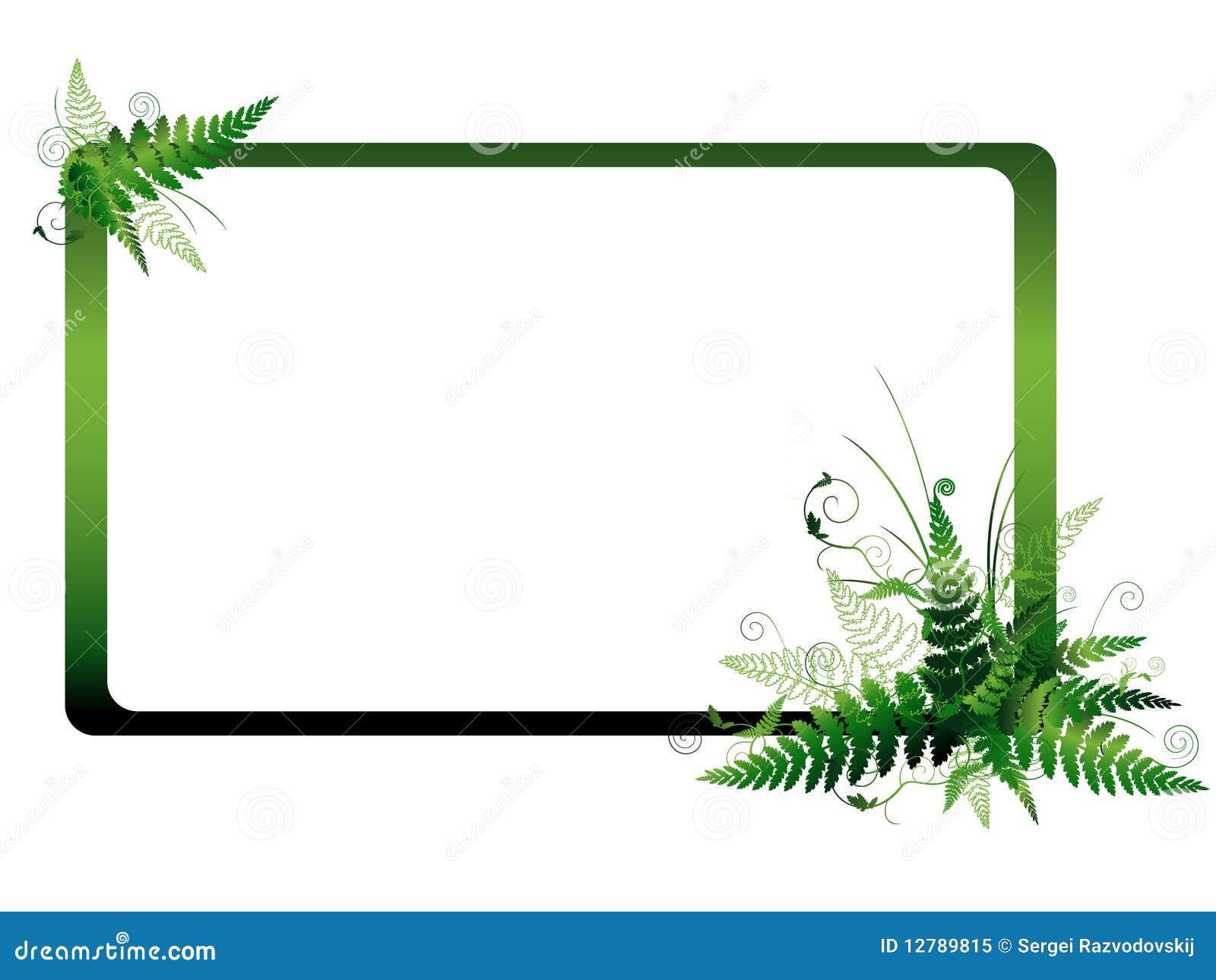 Fern frame stock vector. Illustration of foliage, curve - 12789815