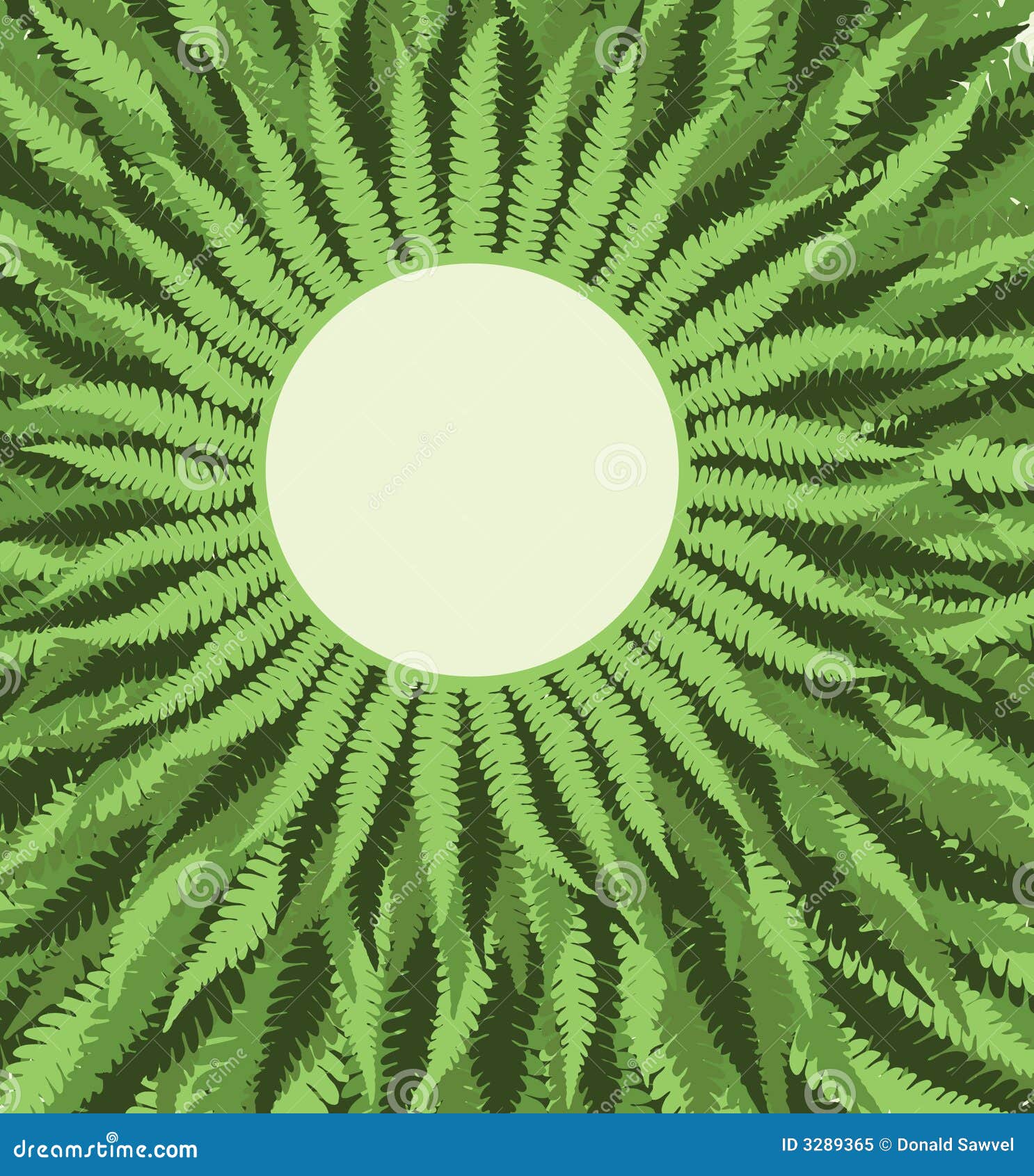 Fern Frame Background stock vector. Illustration of leaf - 3289365