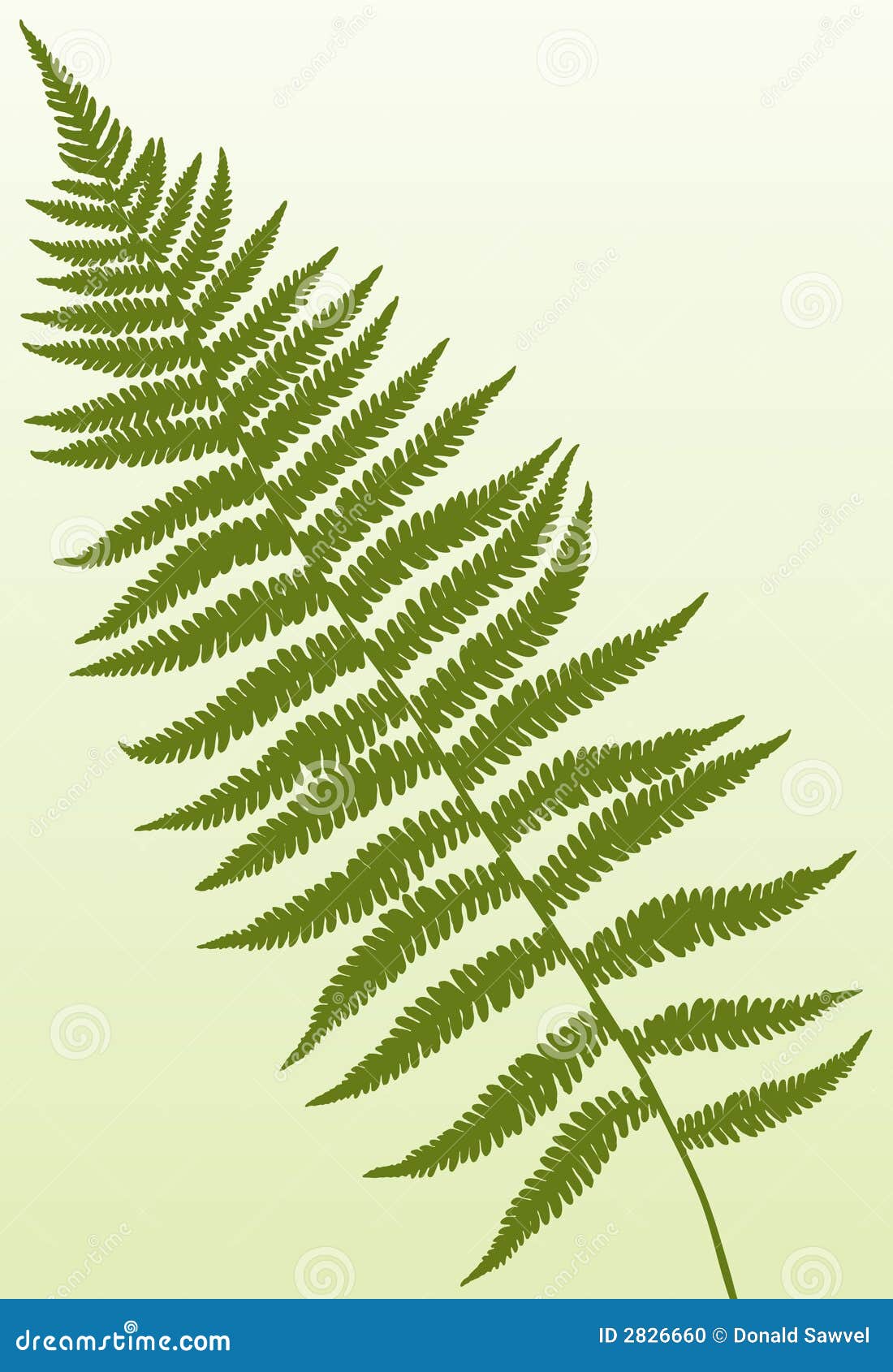 Fern Frond stock vector. Illustration of nature, leaf - 2826660