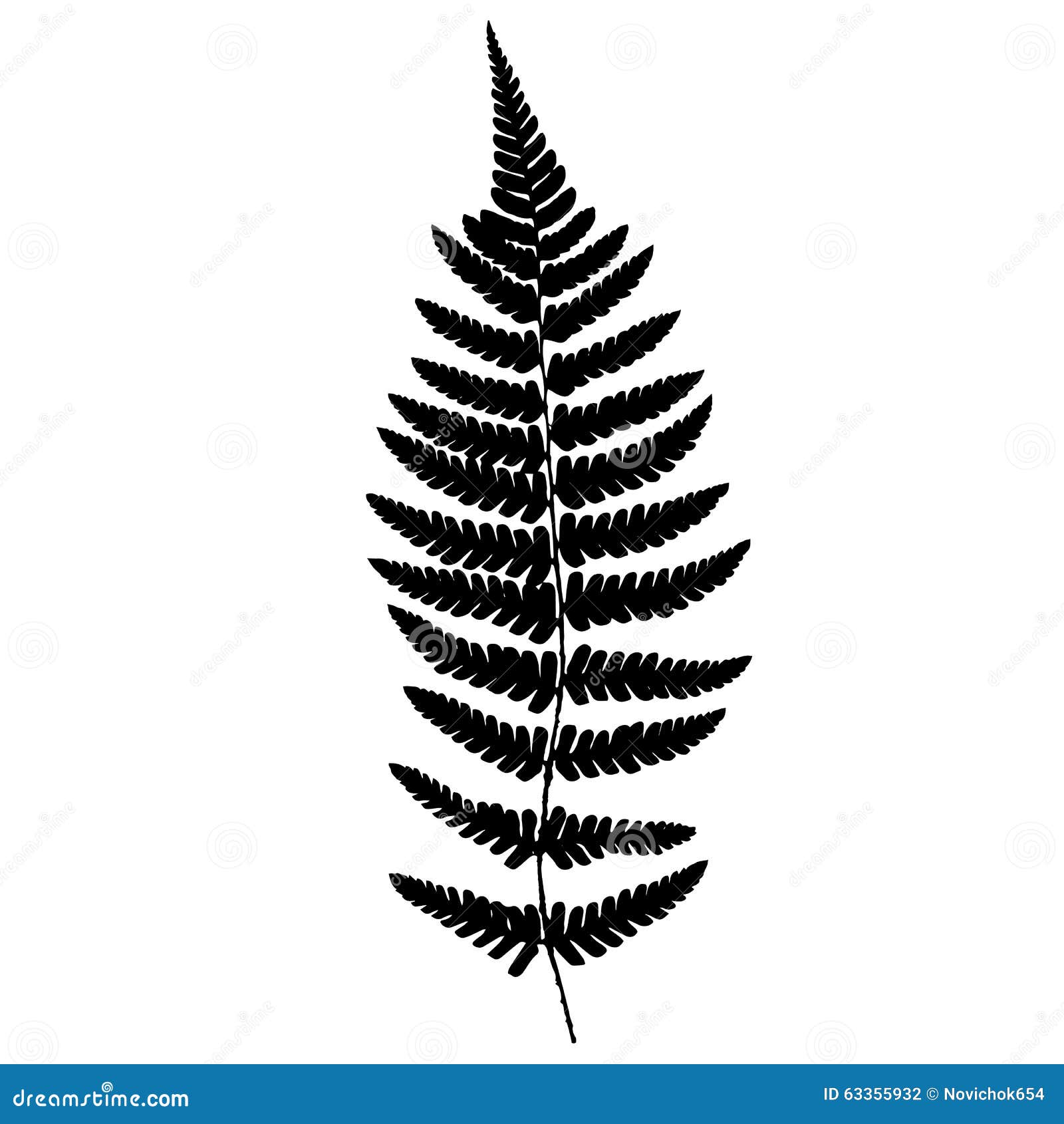Fern Or Frond With Leaves And Erect Stem Vector Illustration Stock ...
