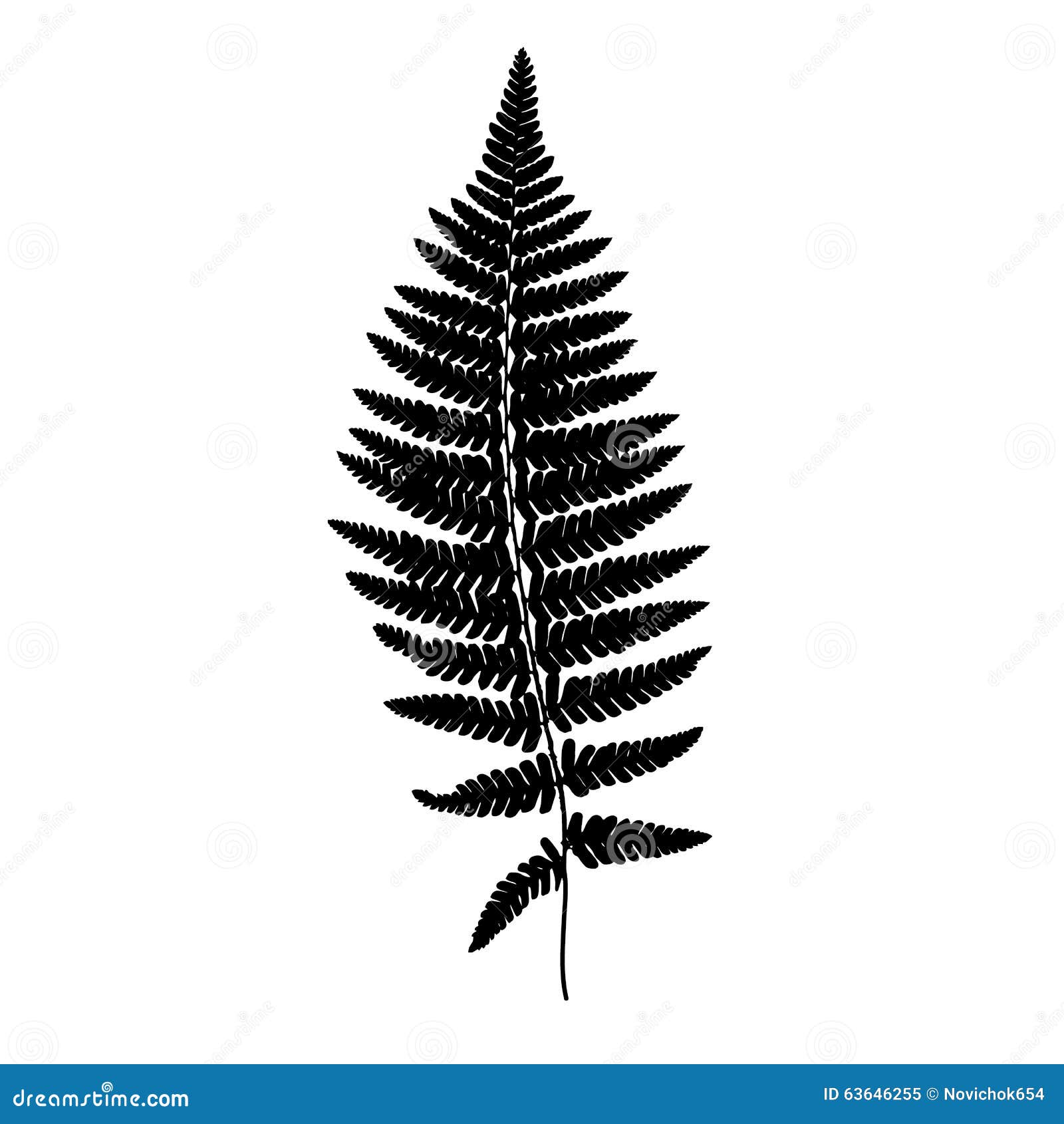 Fern Frond Balck Silhouette Vector Illustration | CartoonDealer.com ...