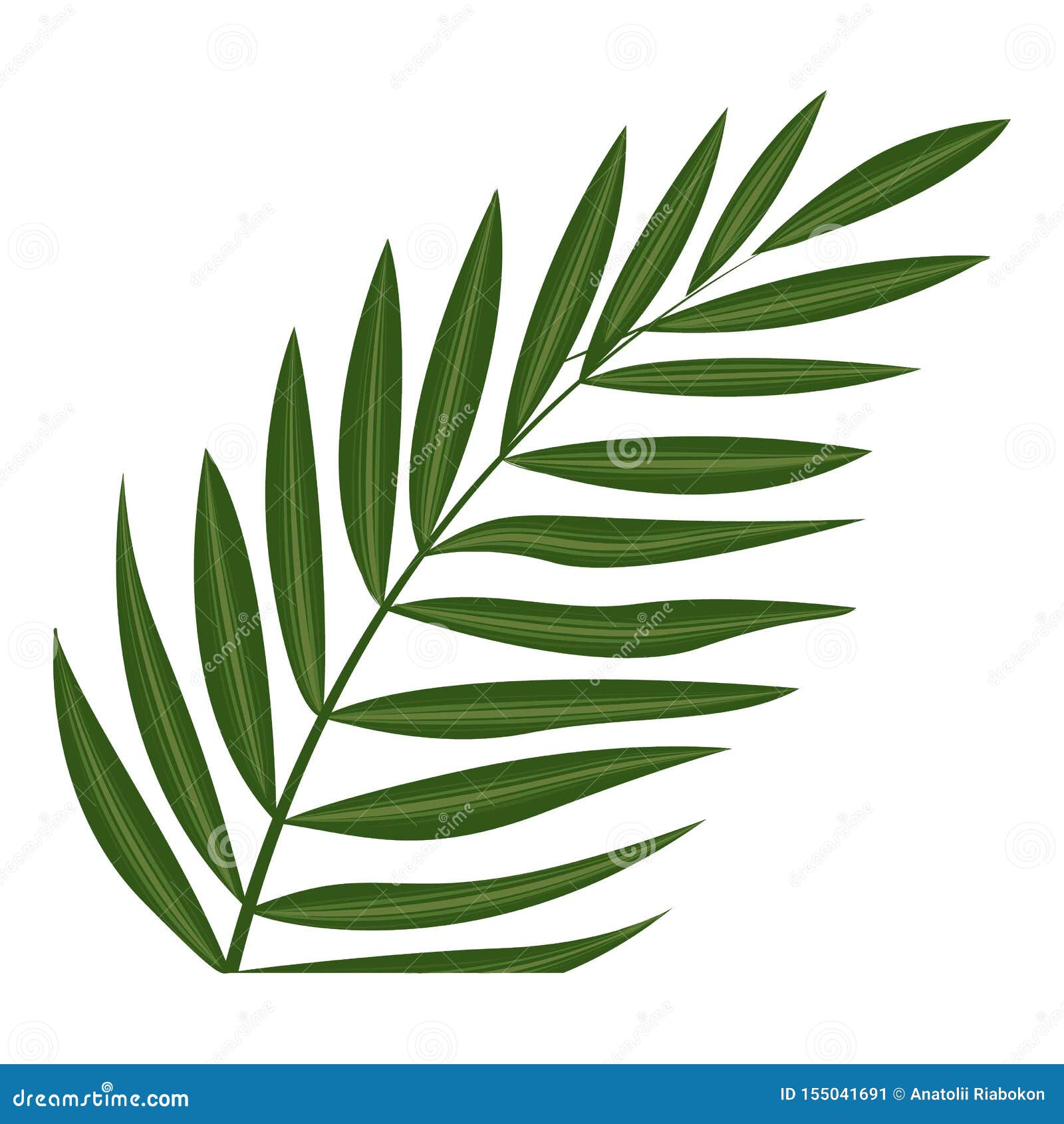Fern Frond Leaf Icon, Cartoon Style Stock Vector - Illustration of ...