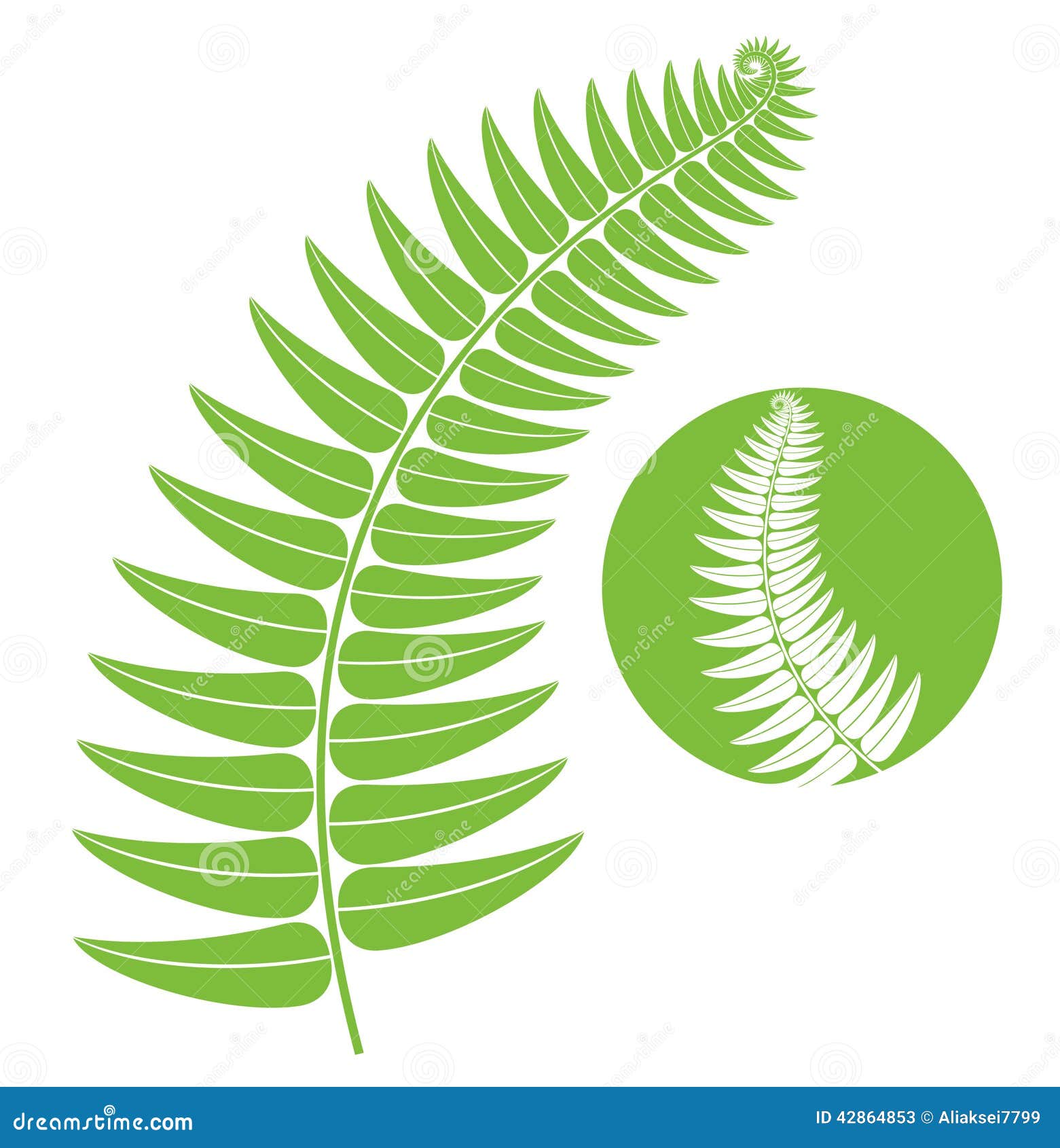 Fern stock vector. Illustration of design, green, element - 42864853