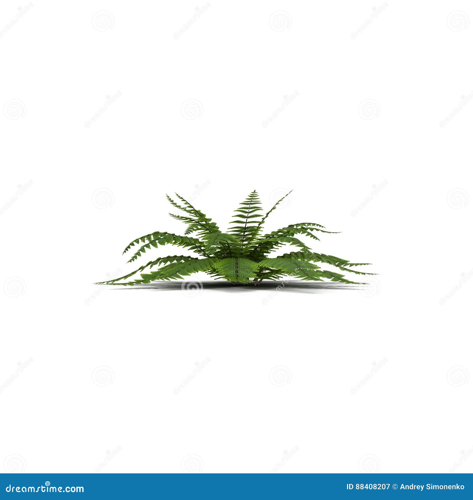 Fern Isolated on White. Side View. 3D Illustration Stock Illustration ...