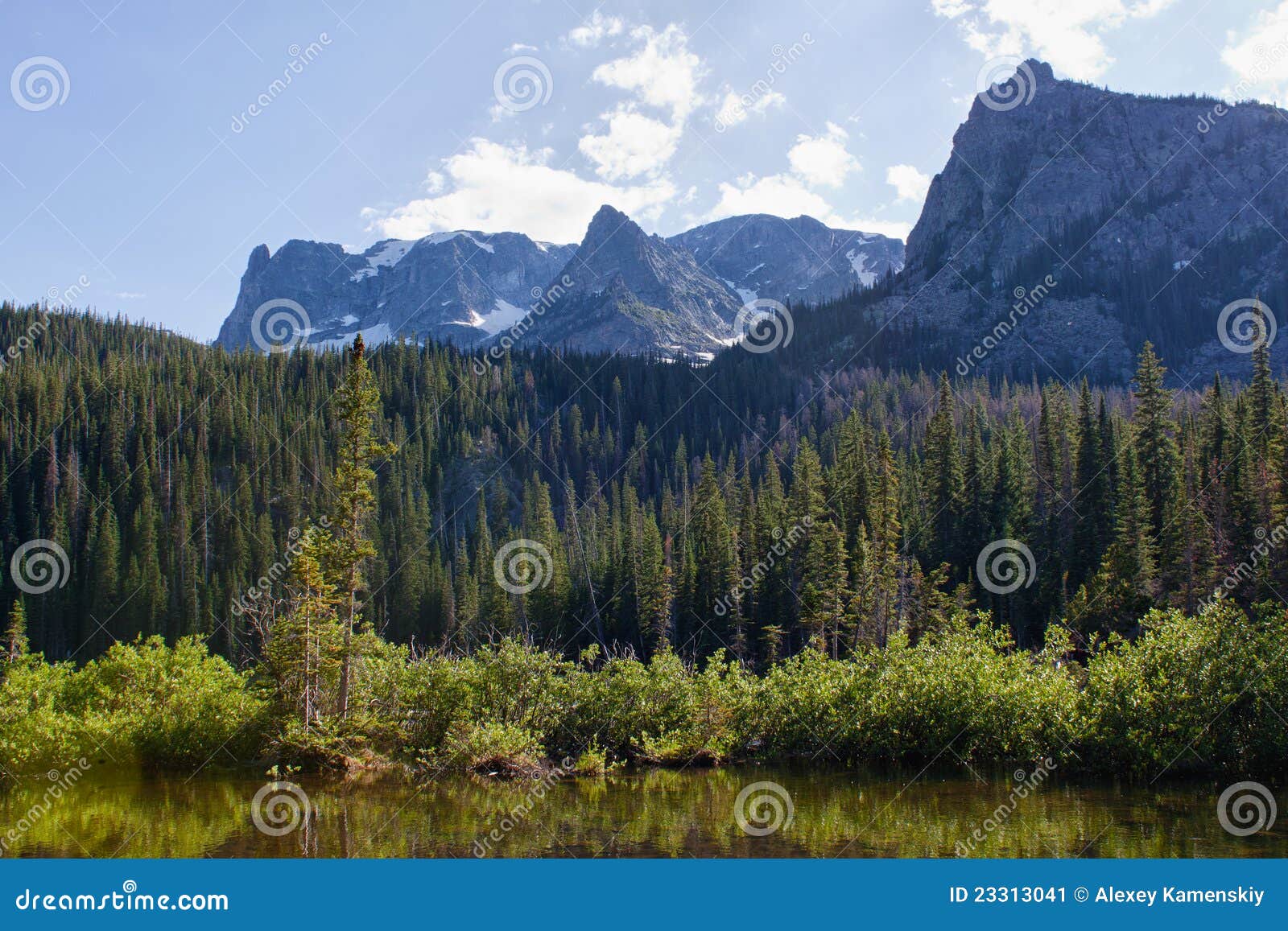 Fern Lake in Rocky Mountains Stock Image - Image of family, spruce ...