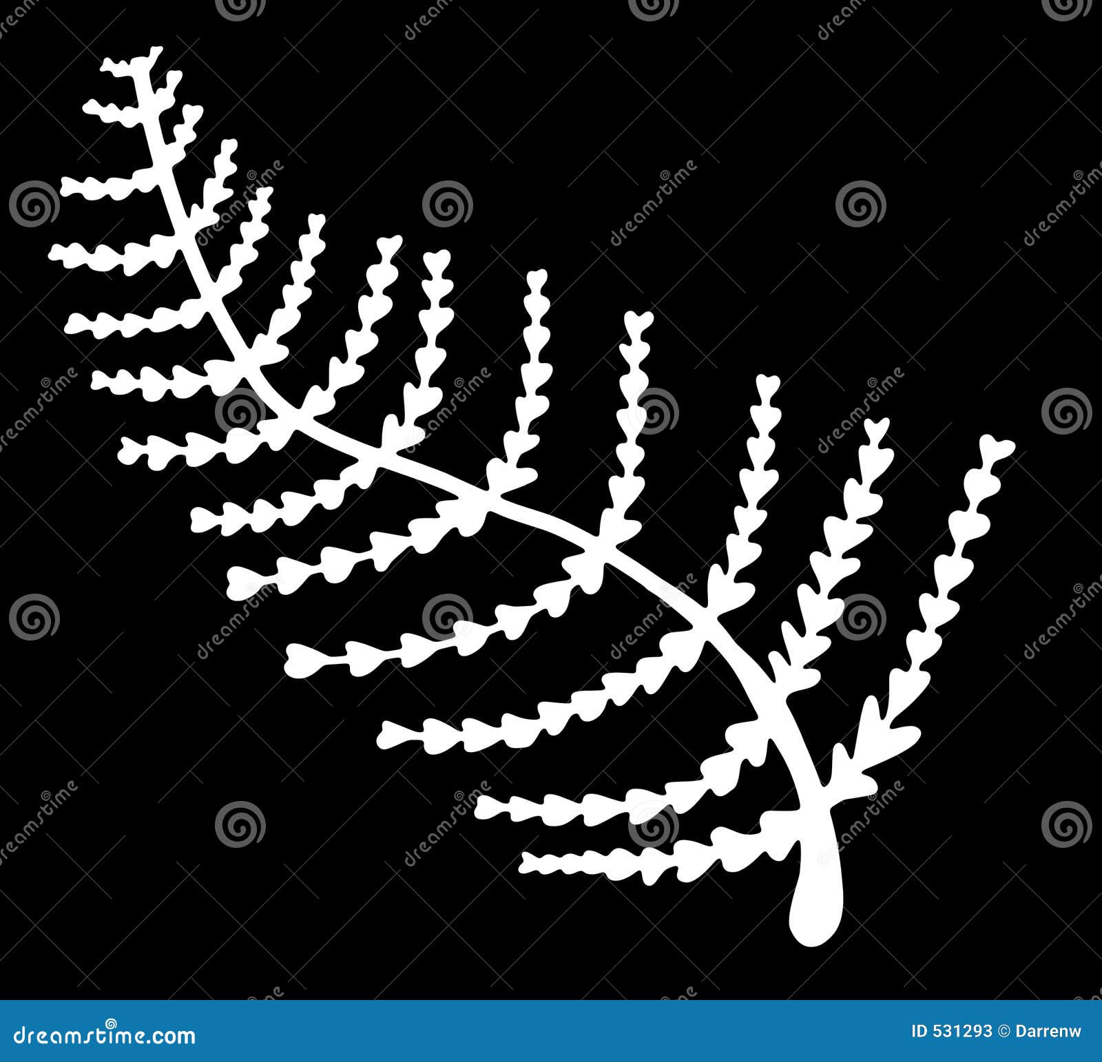 Fern leaf bw stock illustration. Illustration of drawn - 531293