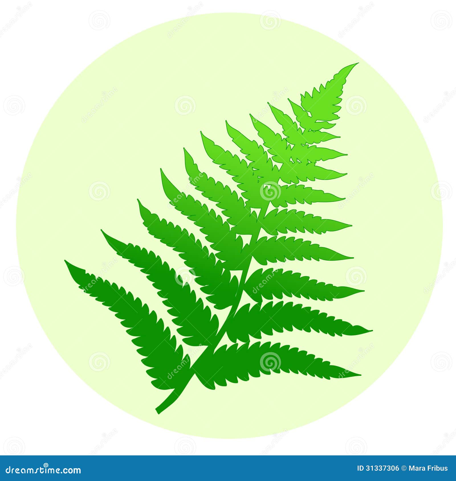 Clip art fern leaf