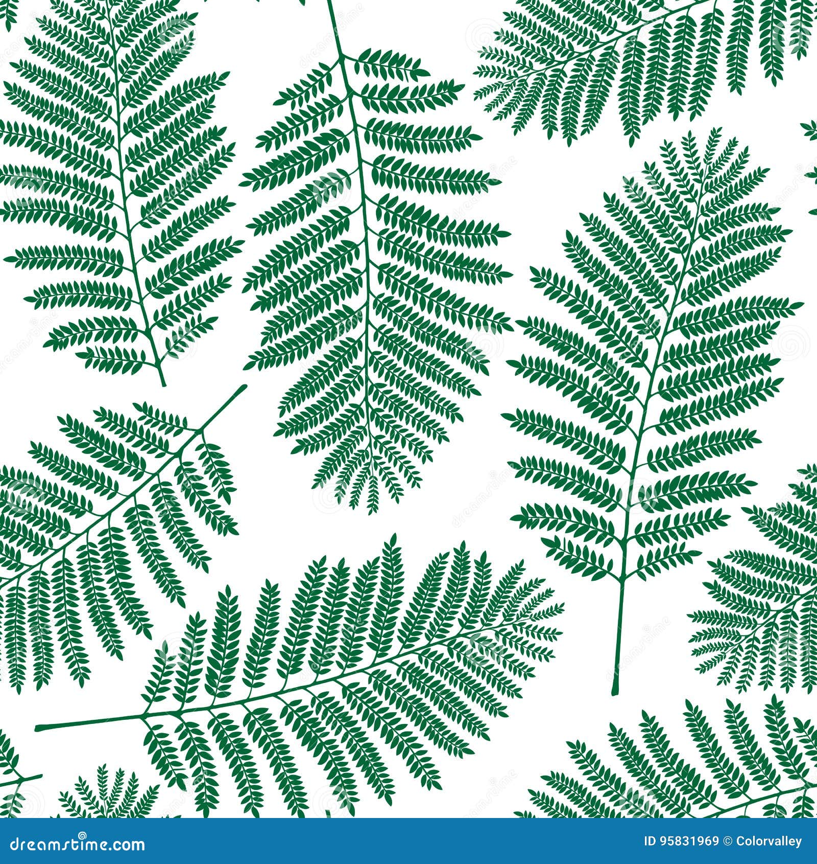 Fern leaf pattern stock vector. Illustration of forest - 95831969