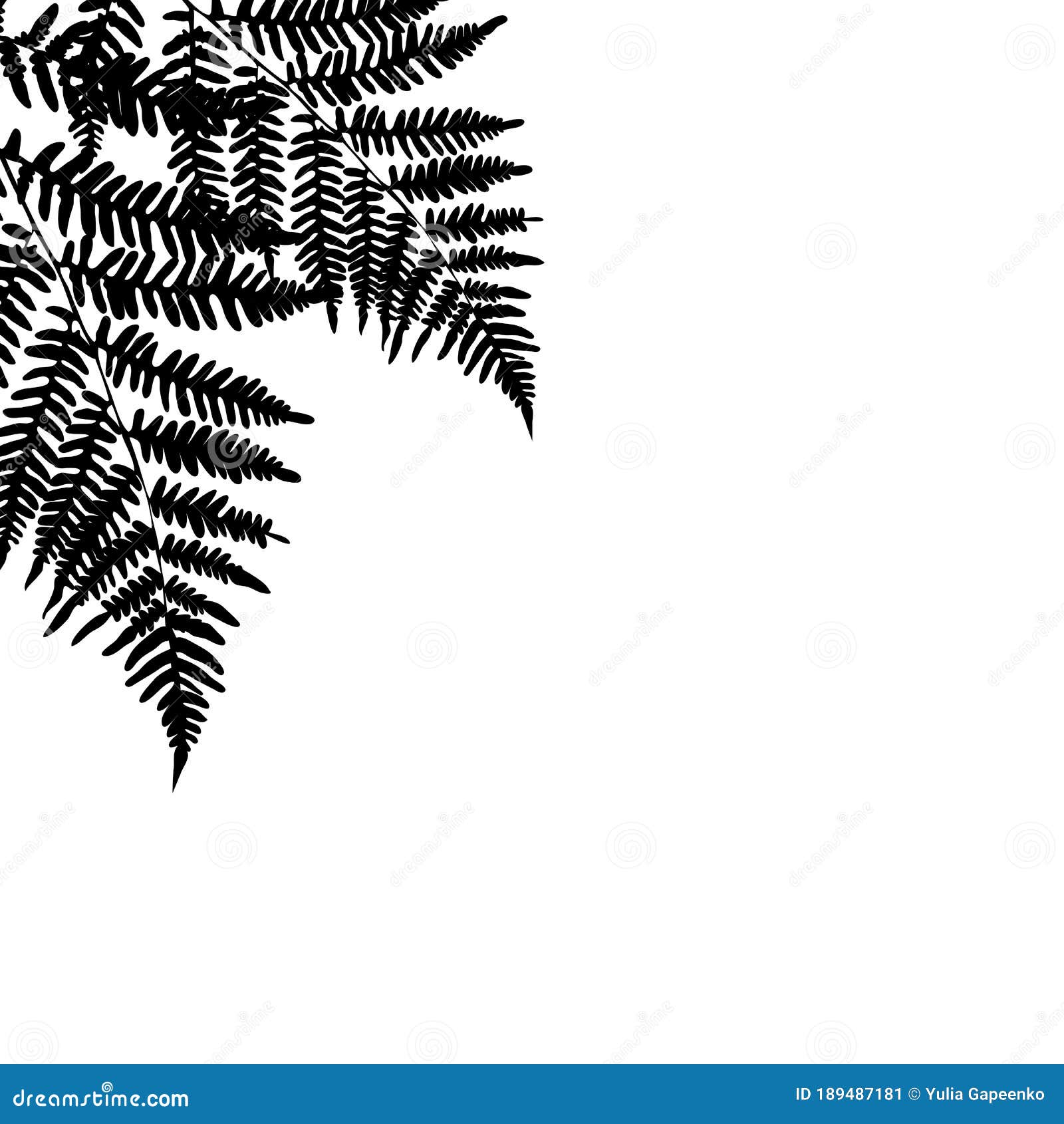 Fern Leaf Silhouette Background on White Background. Vector ...